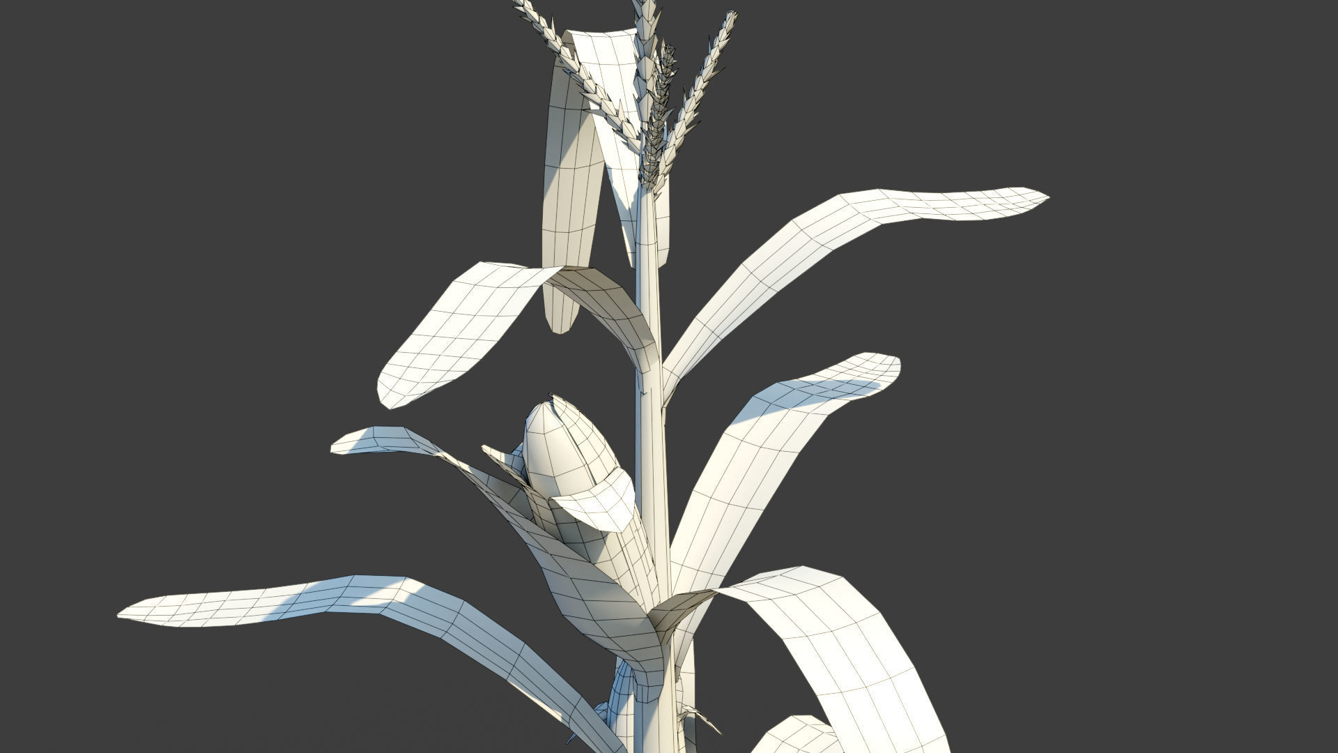3D model Stylized Corn Stalk VR / AR / low-poly | CGTrader