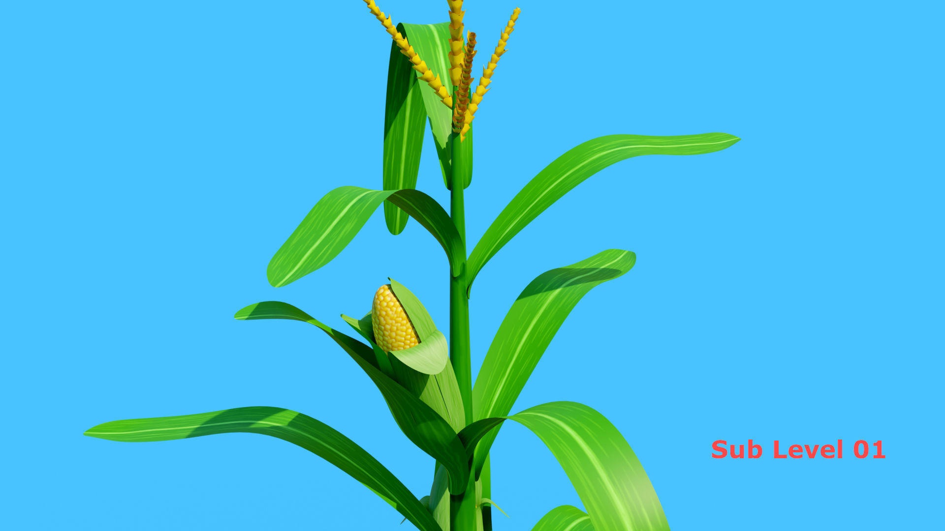 3D model Stylized Corn Stalk VR / AR / low-poly | CGTrader