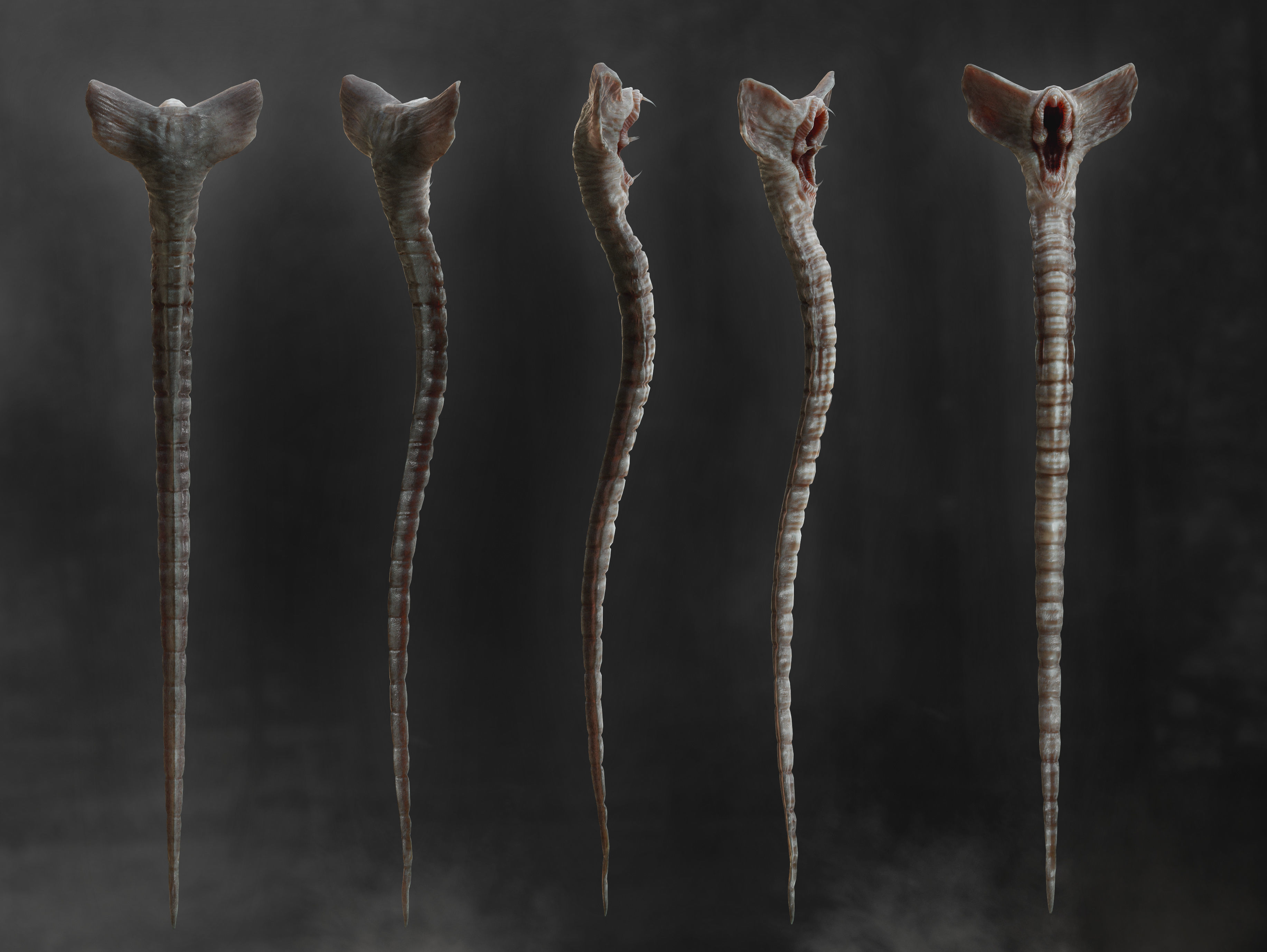 3D model Hammerpede - Prometheus VR / AR / low-poly rigged | CGTrader