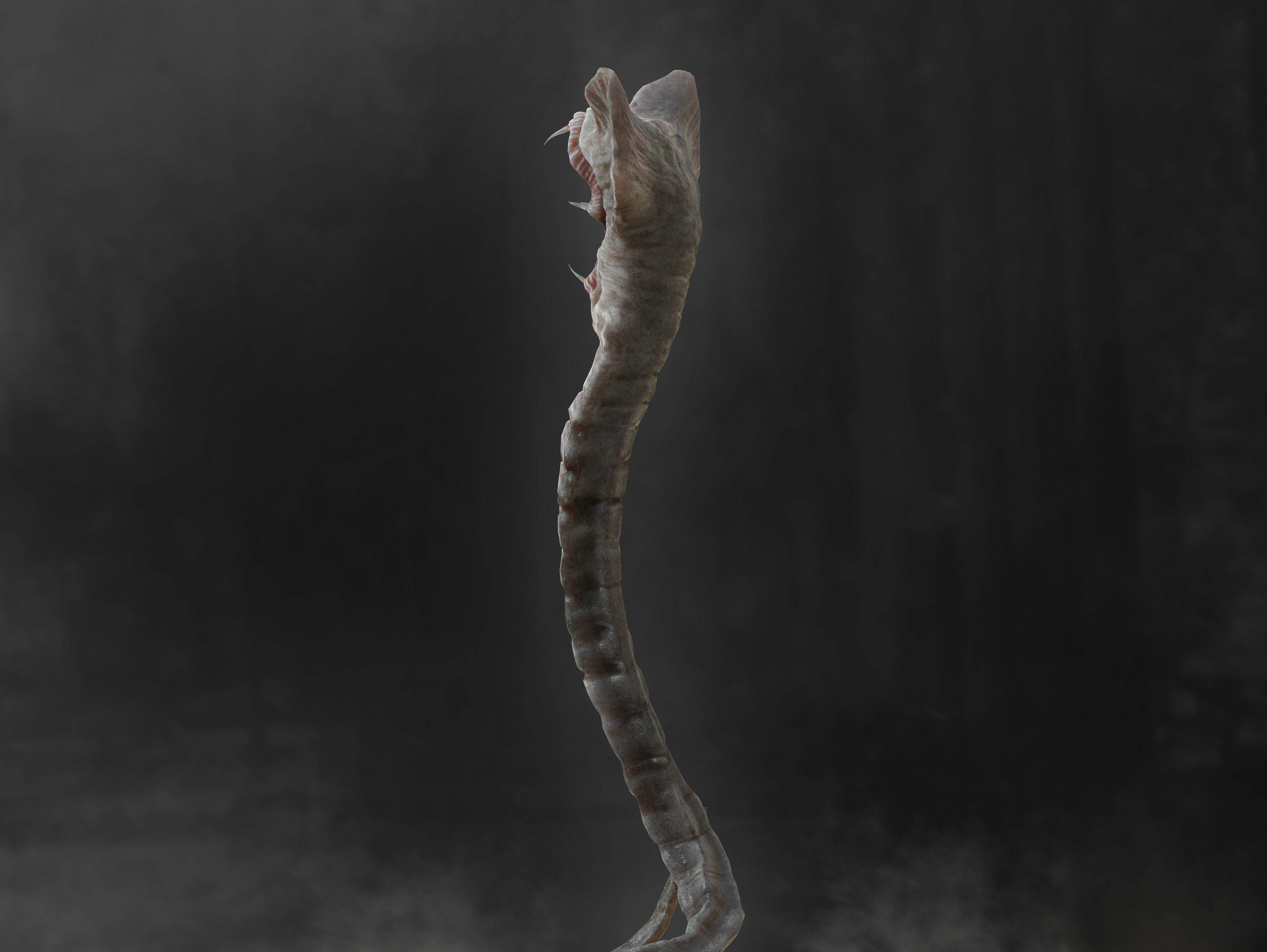 3D model Hammerpede - Prometheus VR / AR / low-poly rigged | CGTrader