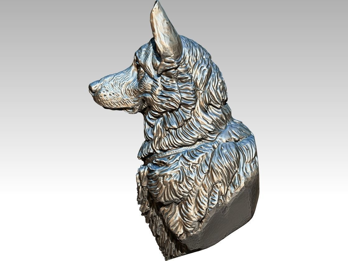 Dog bust high detailed realistic 3D model 3D printable | CGTrader