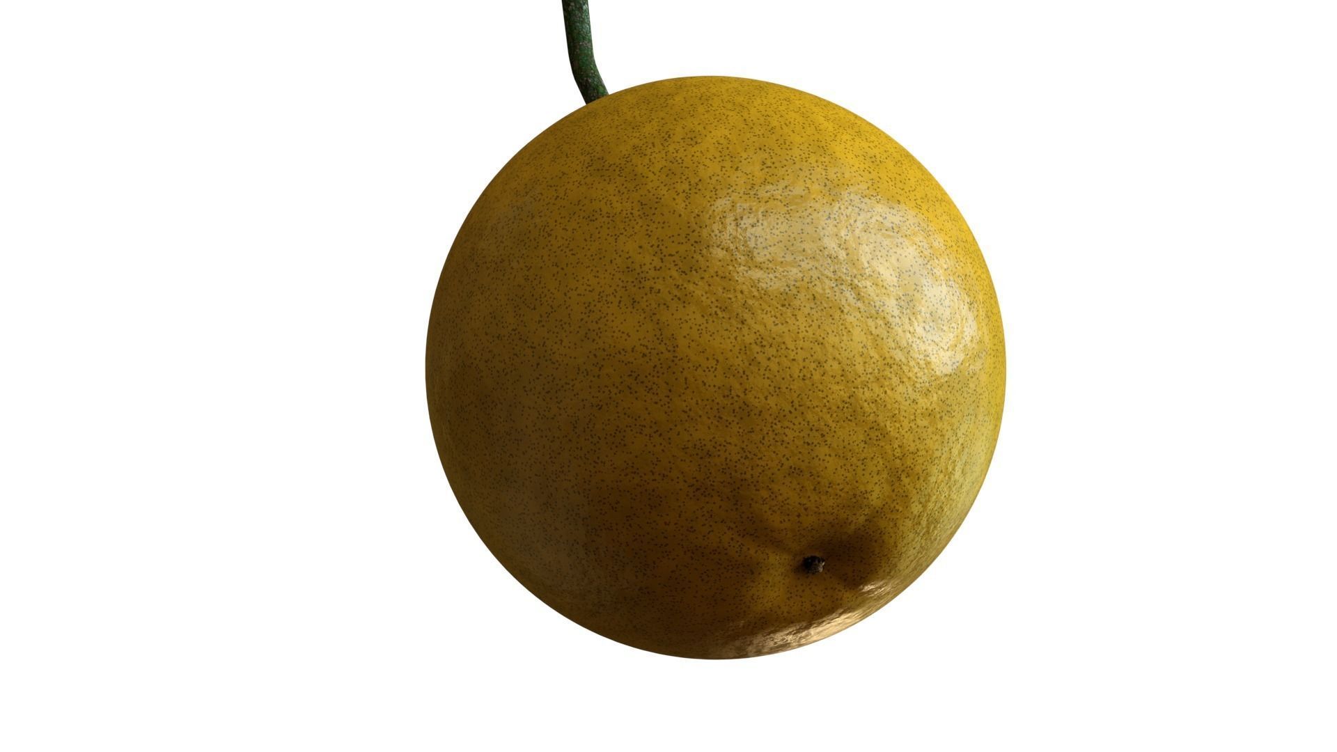 Pears ball hanging from wire free 3D model | CGTrader