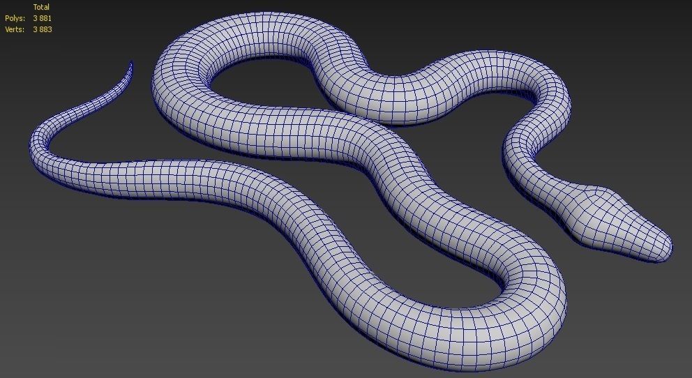 The Snake 3D model | CGTrader