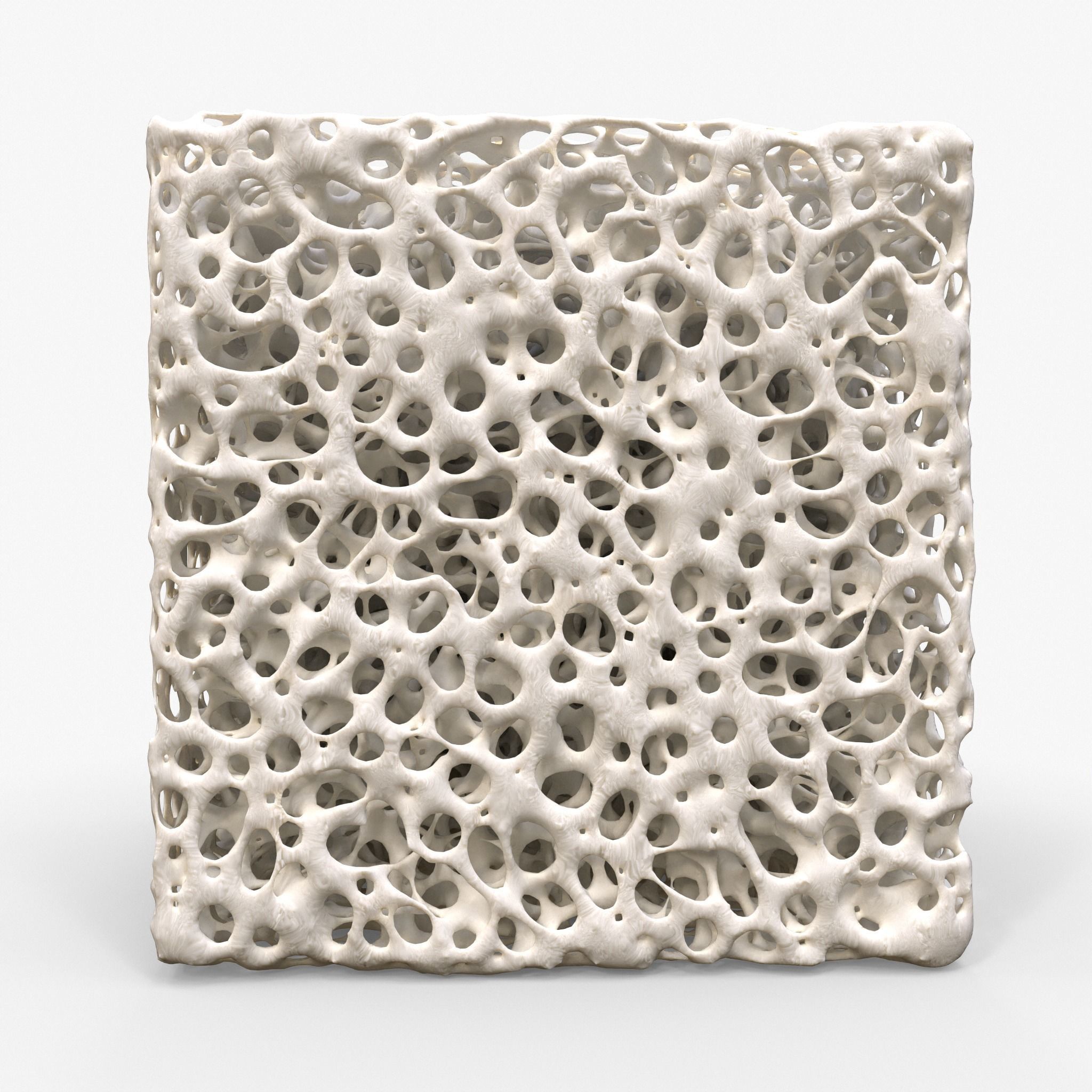 3D model Bone Sponge Structure VR / AR / low-poly | CGTrader