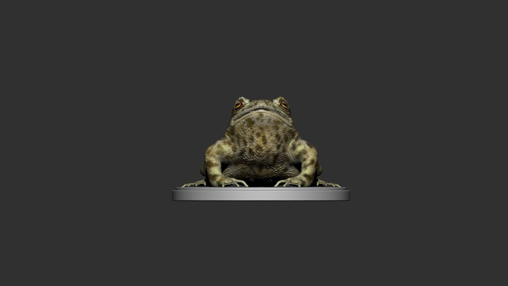 The model Toad 3D model 3D printable | CGTrader