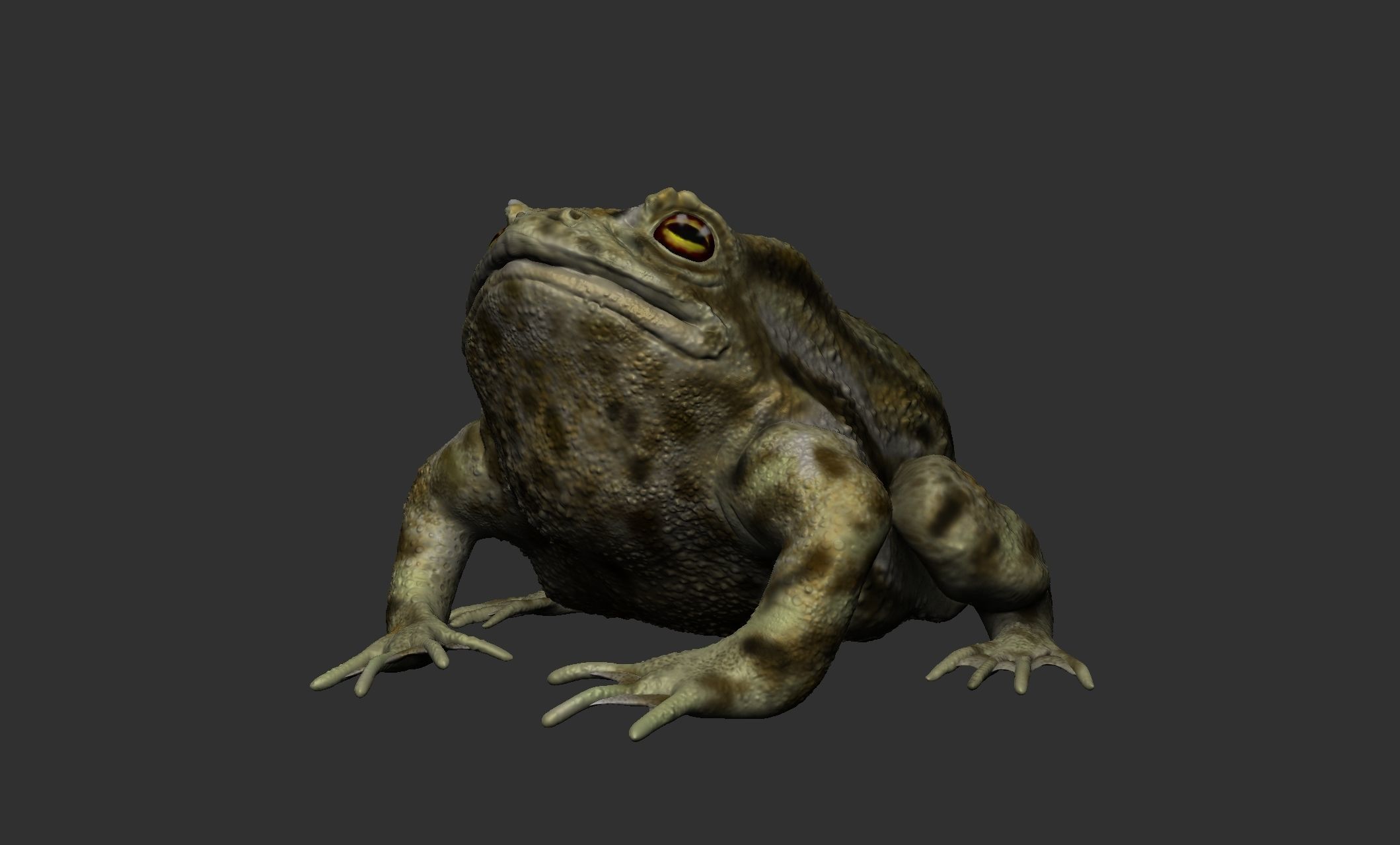 The model Toad 3D model 3D printable | CGTrader