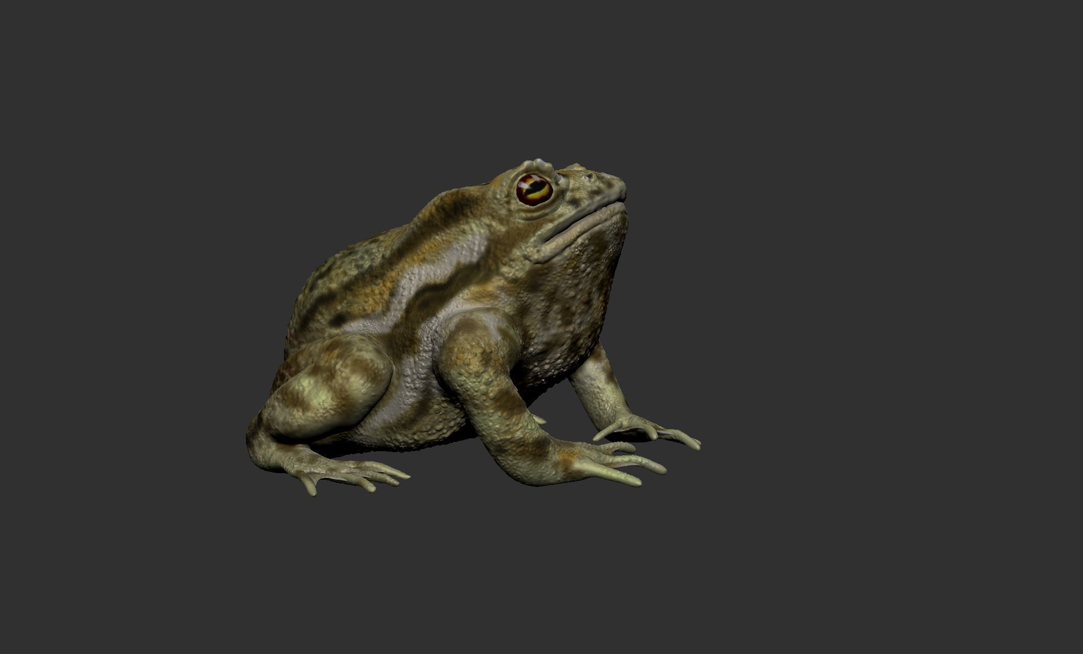 The model Toad 3D model 3D printable | CGTrader