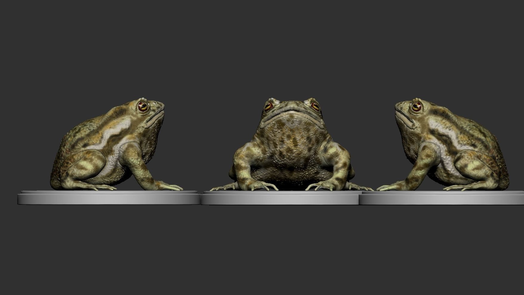 The model Toad 3D model 3D printable | CGTrader