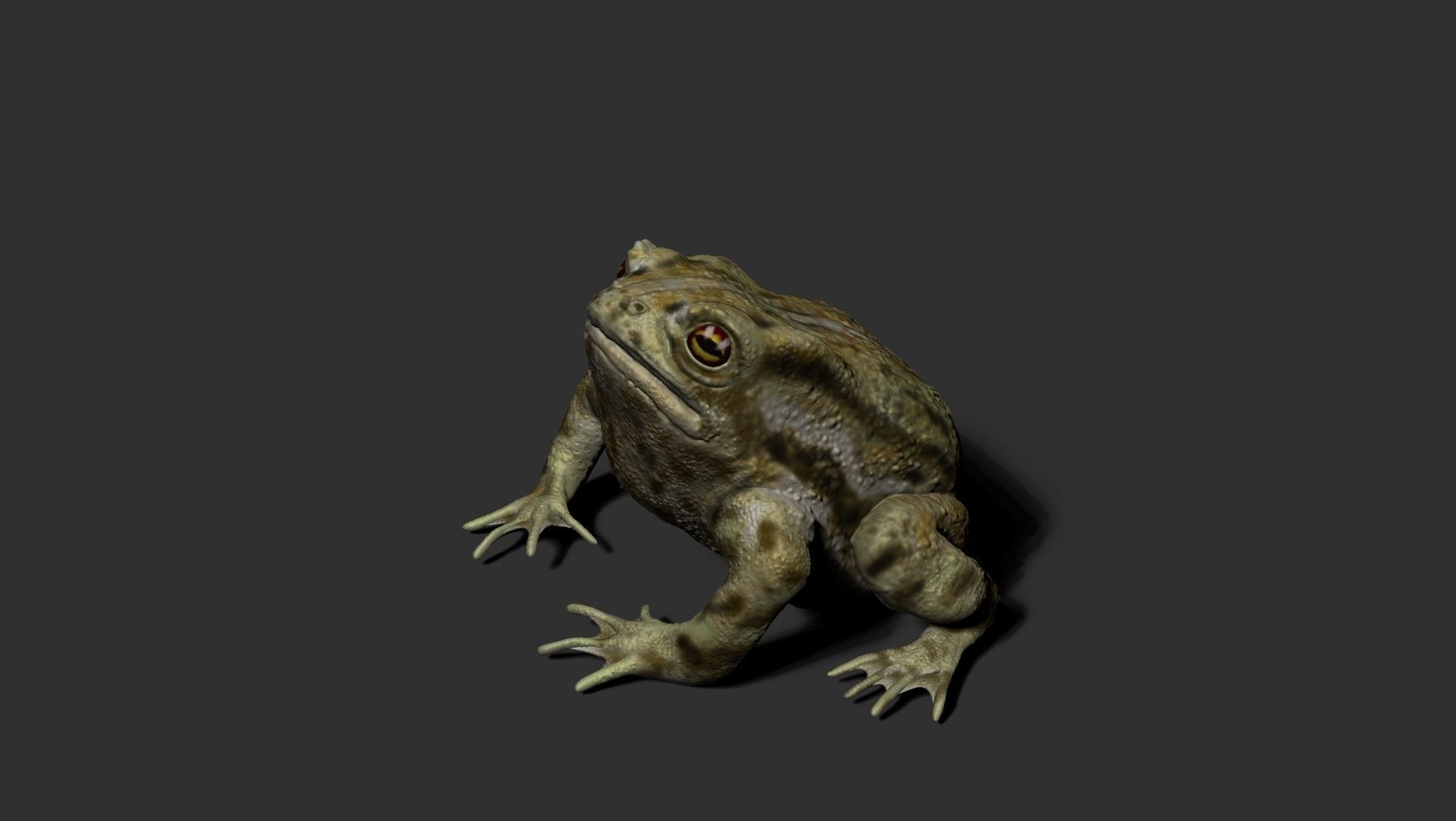The model Toad 3D model 3D printable | CGTrader