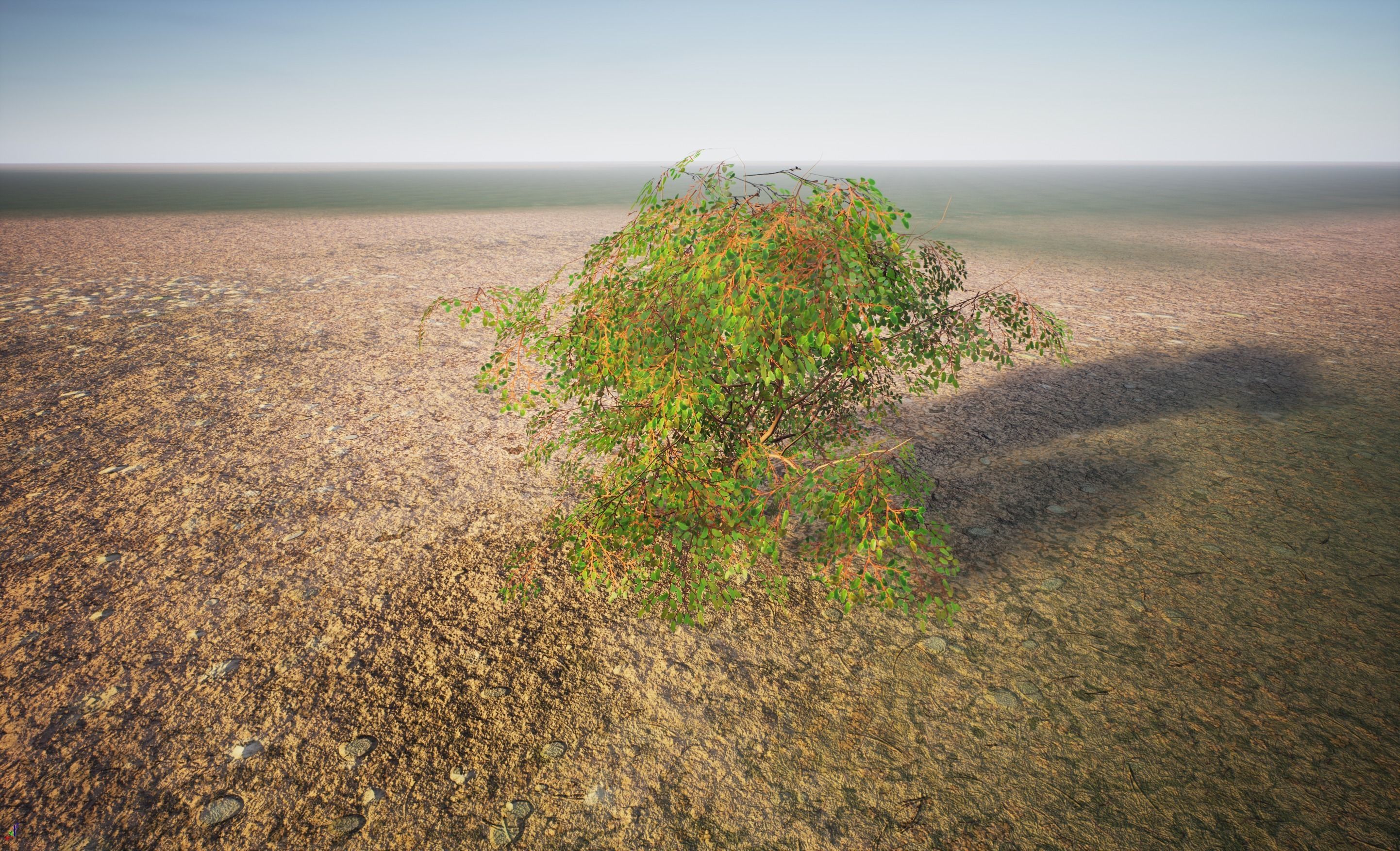 3D model Forest tree pack VR / AR / low-poly | CGTrader