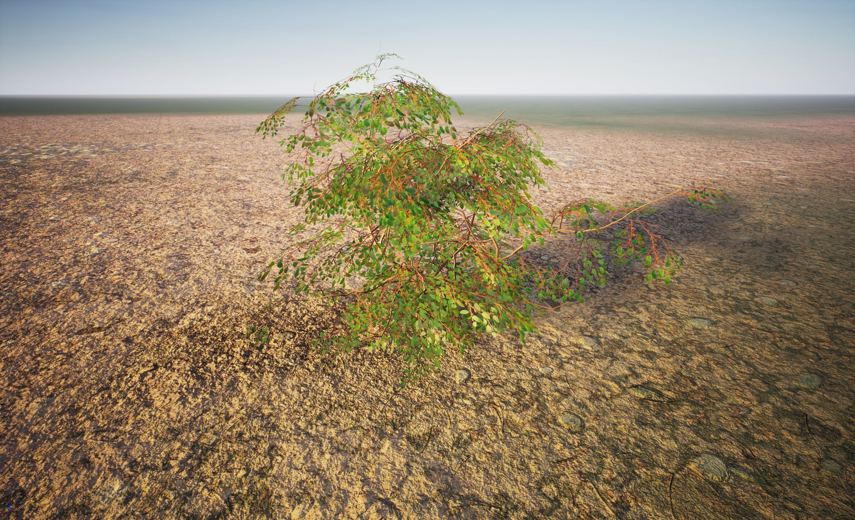 3D model Forest tree pack VR / AR / low-poly | CGTrader