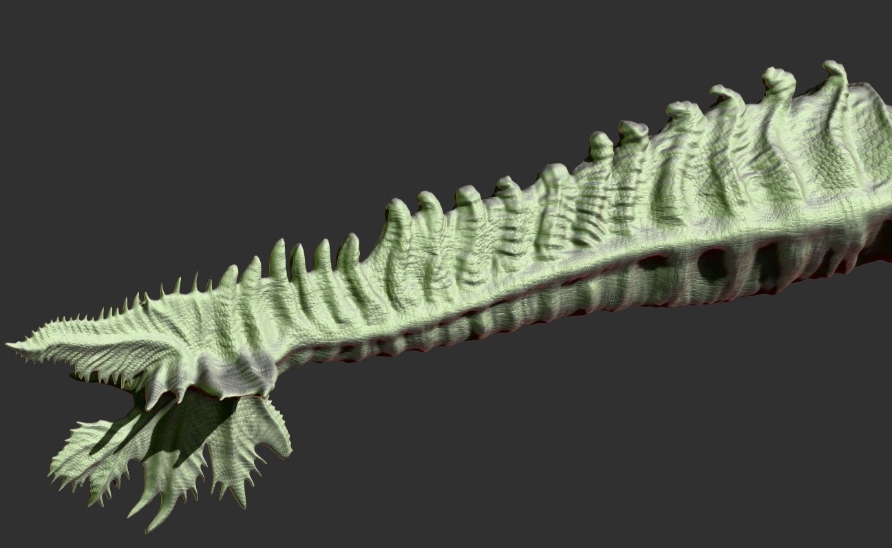 Tail Monsters 10 Pack IMM Curves 3D model | CGTrader