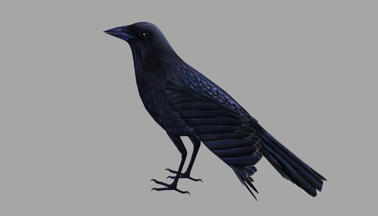 3D model animated low poly crow VR / AR / low-poly | CGTrader