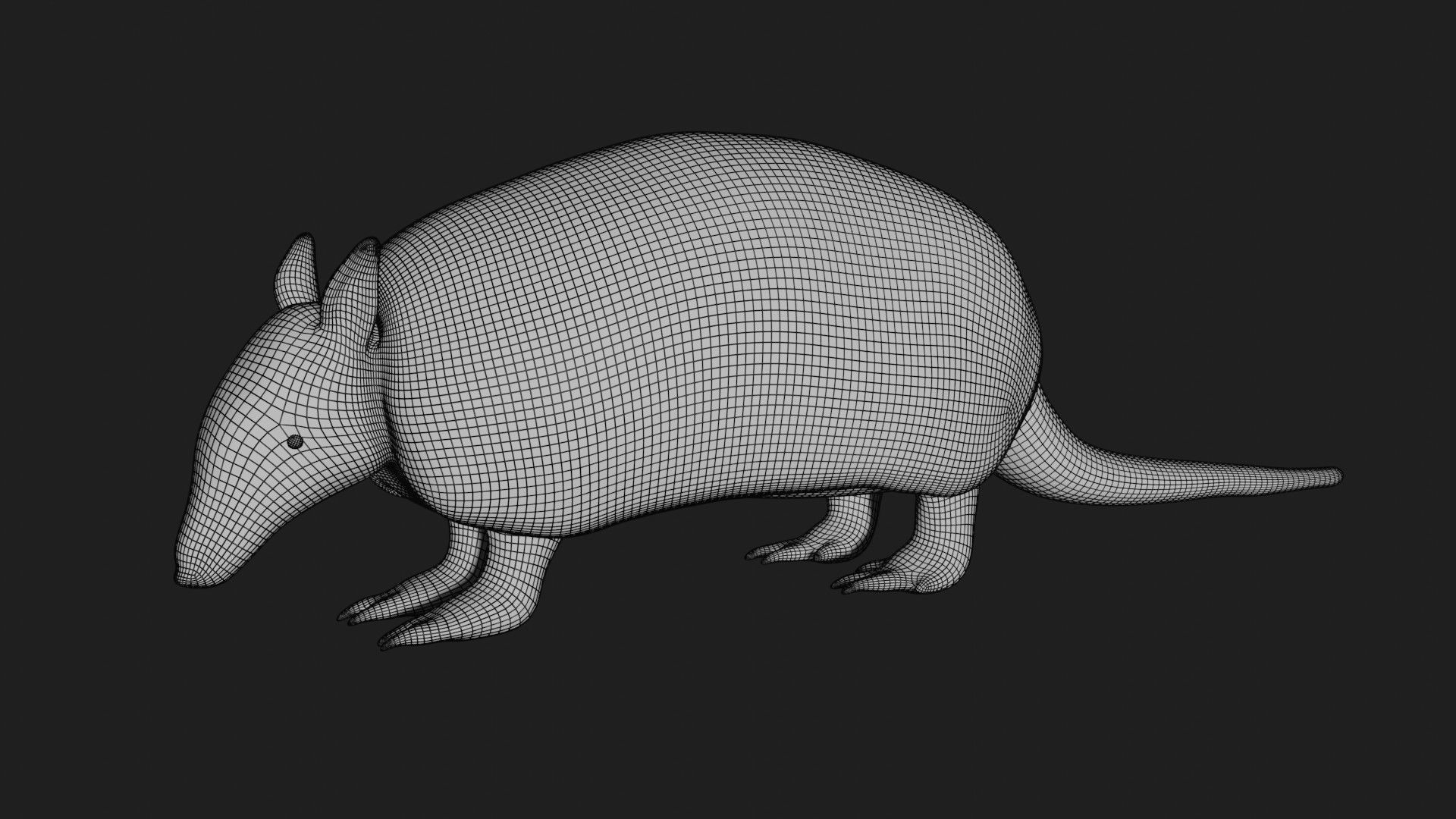 3D model Armadillo VR / AR / low-poly rigged | CGTrader