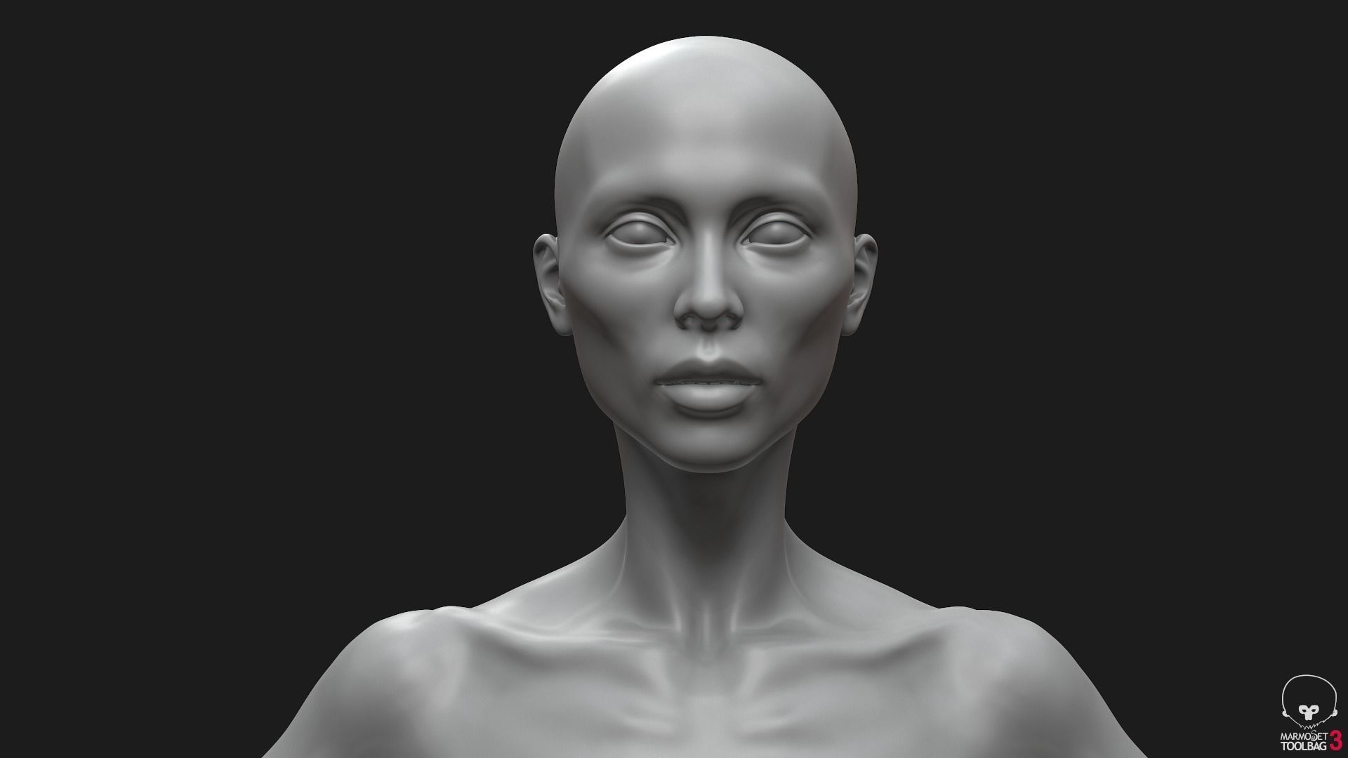 Skinny Woman Body Basemesh 3D model | CGTrader