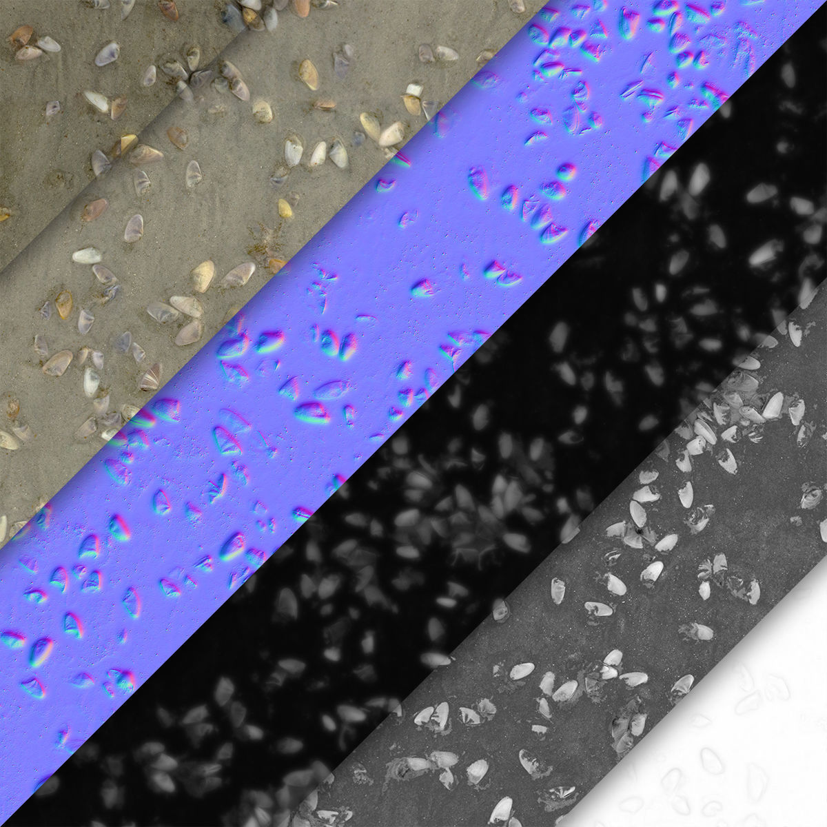 Ground - Sandy Shell free Texture | CGTrader