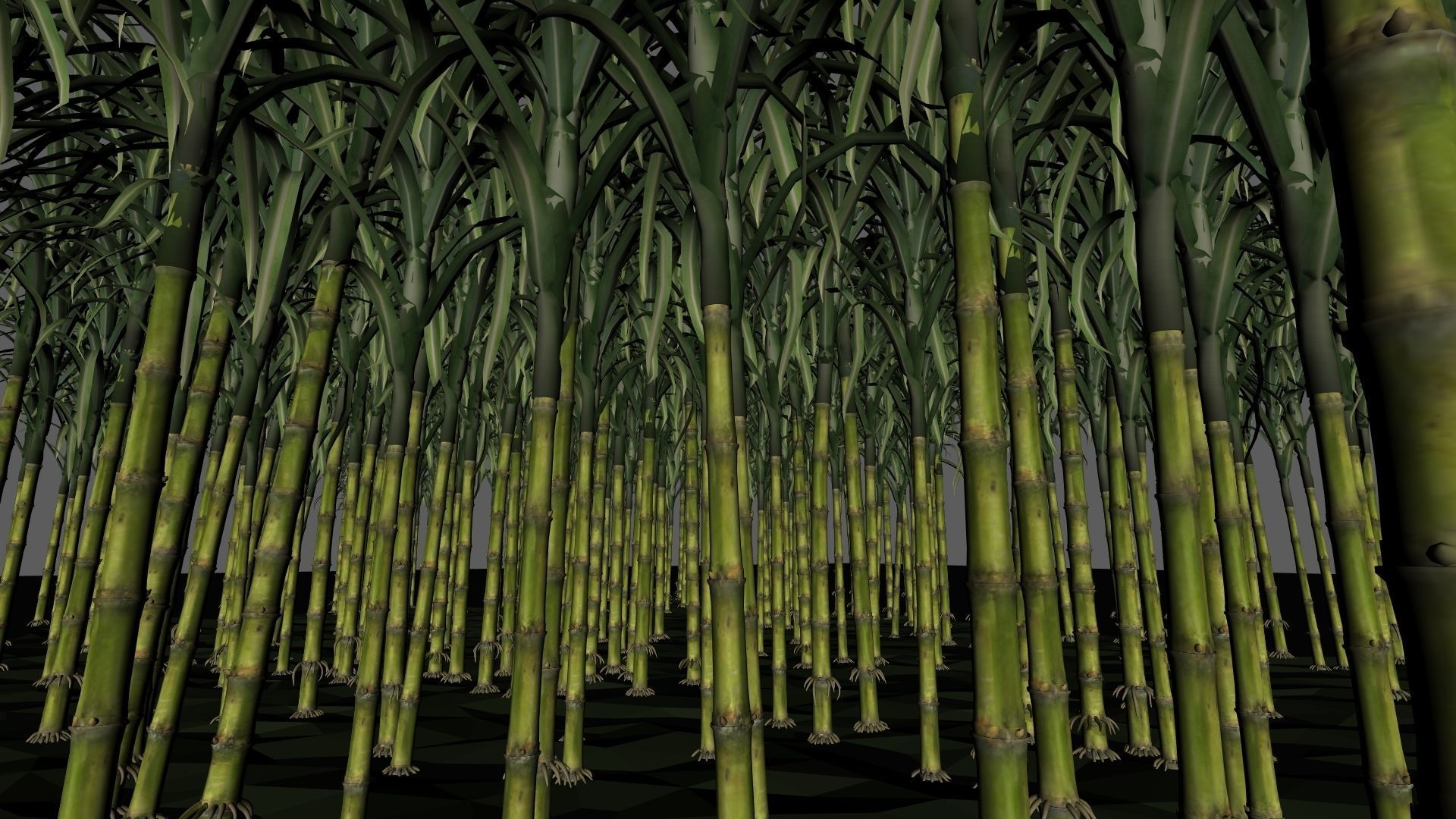 3D model Sugarcane VR / AR / low-poly | CGTrader