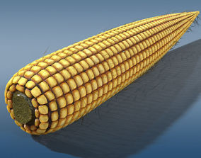 Corncob 3D Models | CGTrader