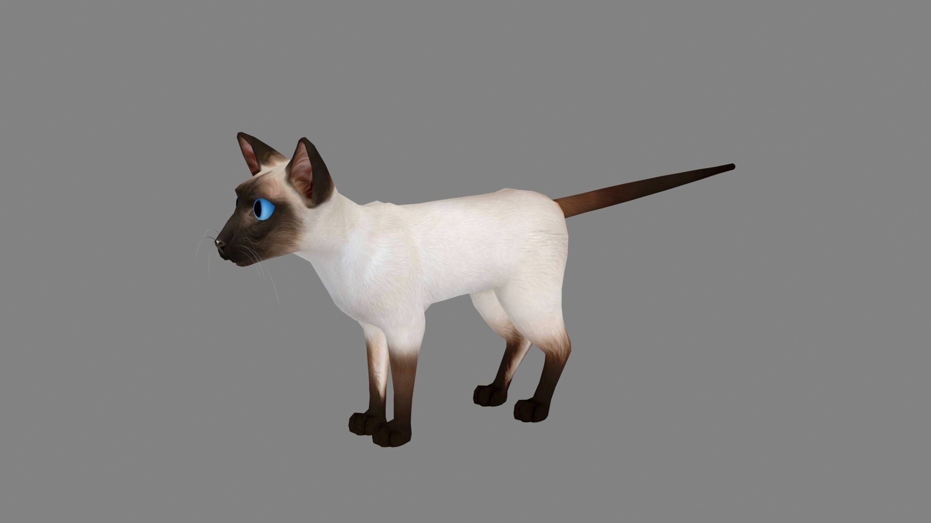 3D model Cartoon siamese cat VR / AR / low-poly | CGTrader