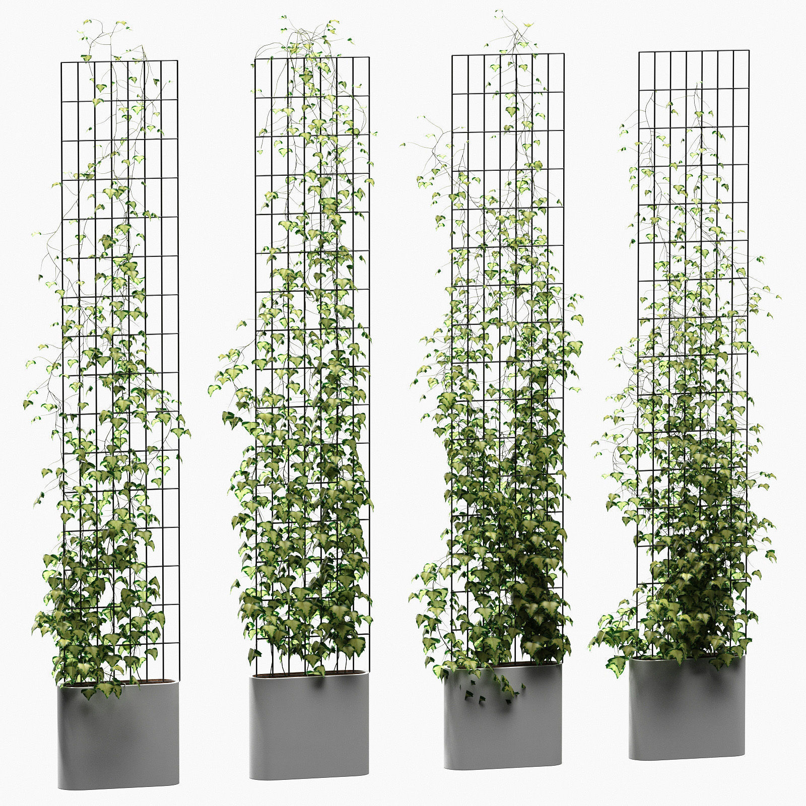 4 models of ivy on a wire rack in a planter 3D model | CGTrader