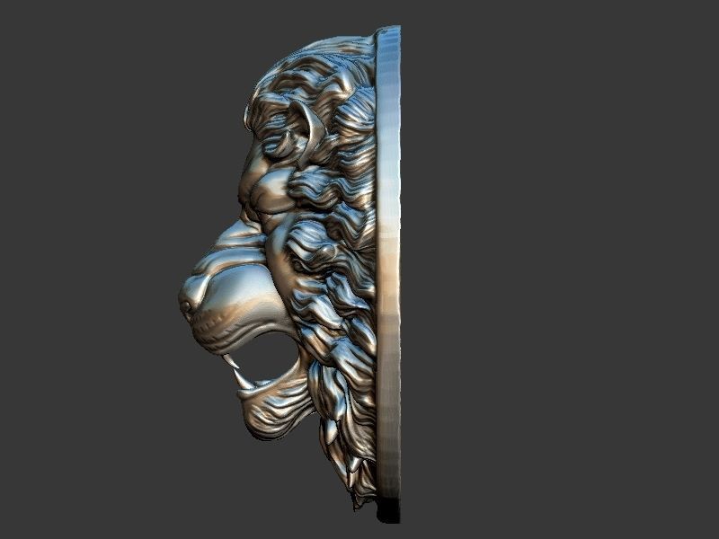 Lion Face design Shield 3D model 3D printable | CGTrader