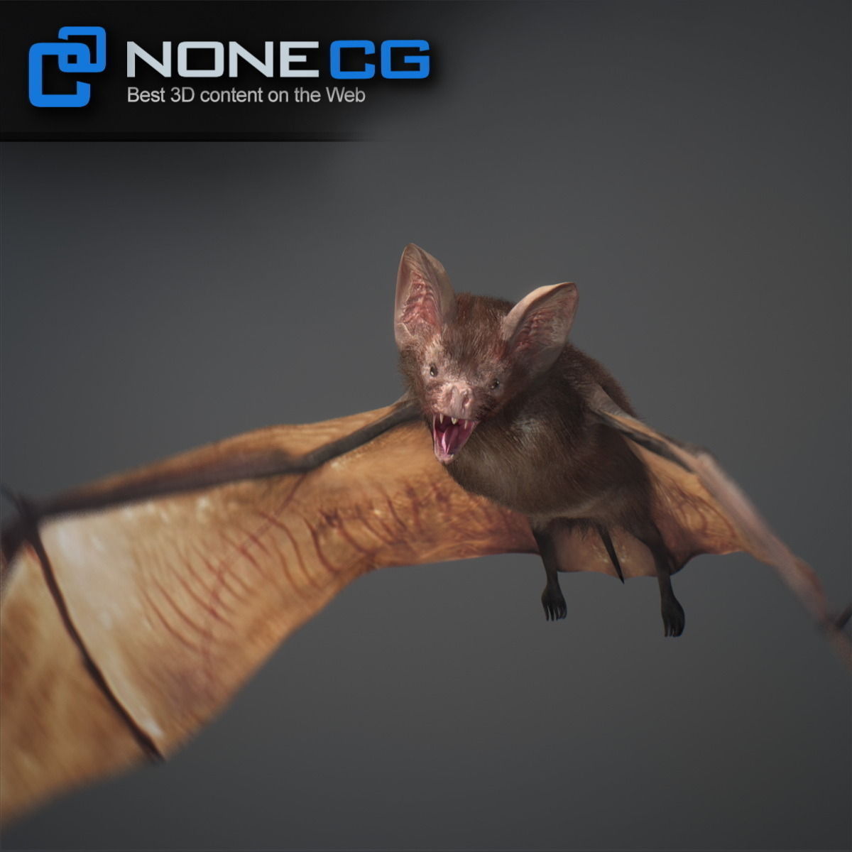 Animated Bat free 3D model animated rigged | CGTrader