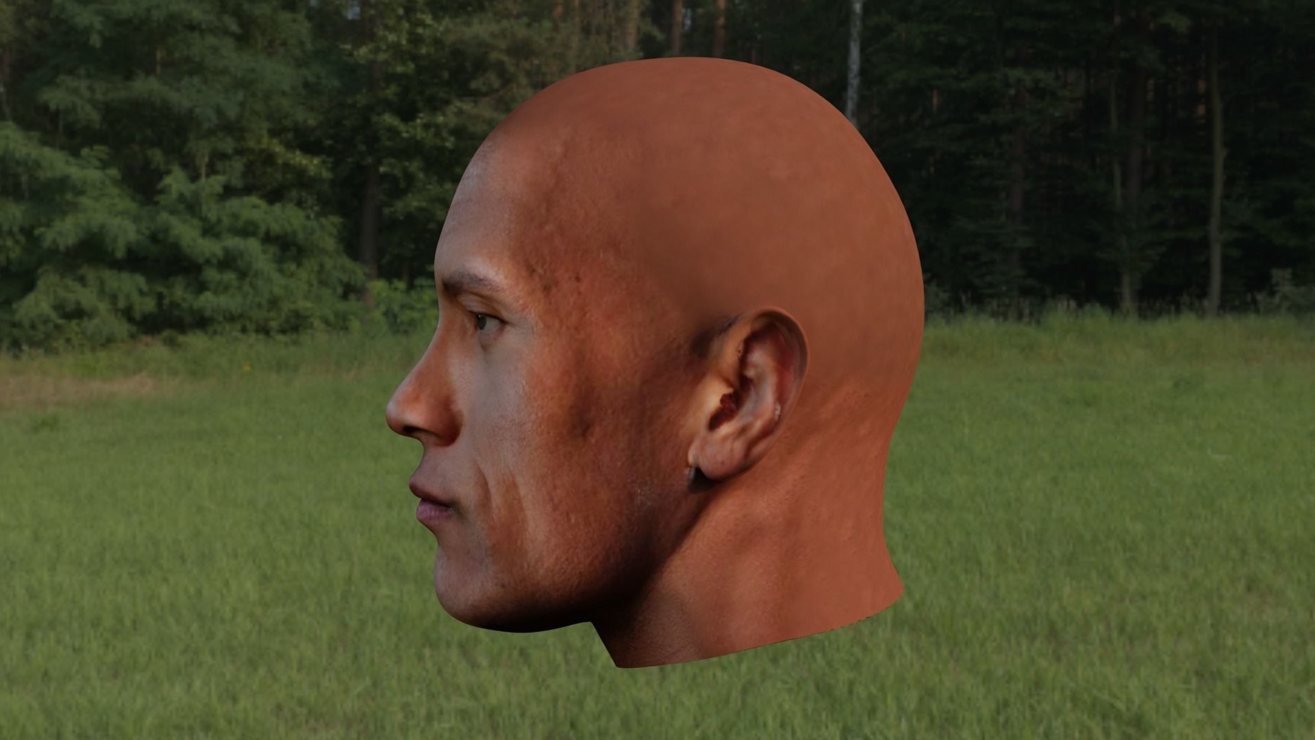 The Rock Dwayne Johnson Head Bust 3D model | CGTrader