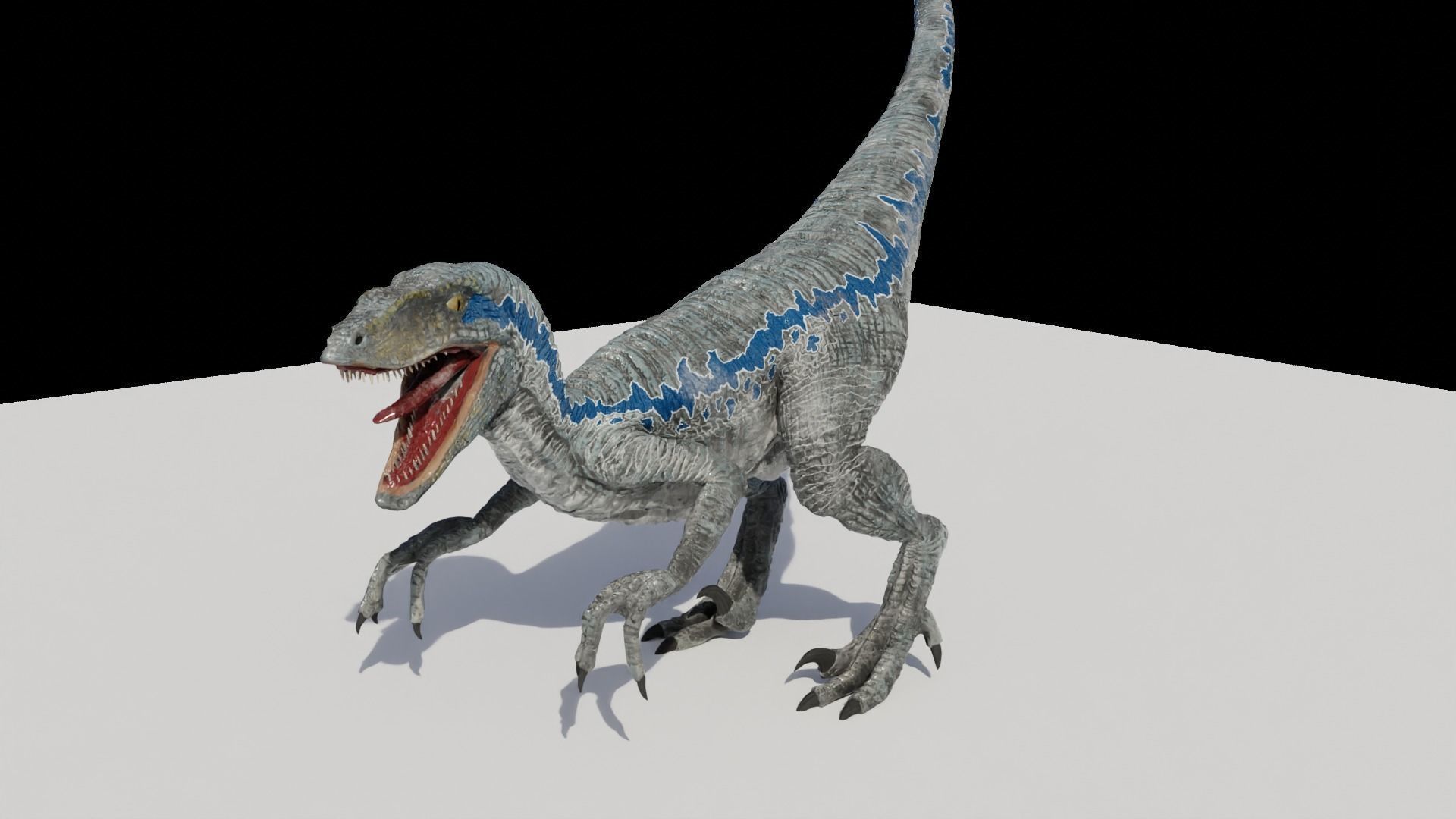 Blue velociraptor fully rigged in blender free 3D model rigged | CGTrader