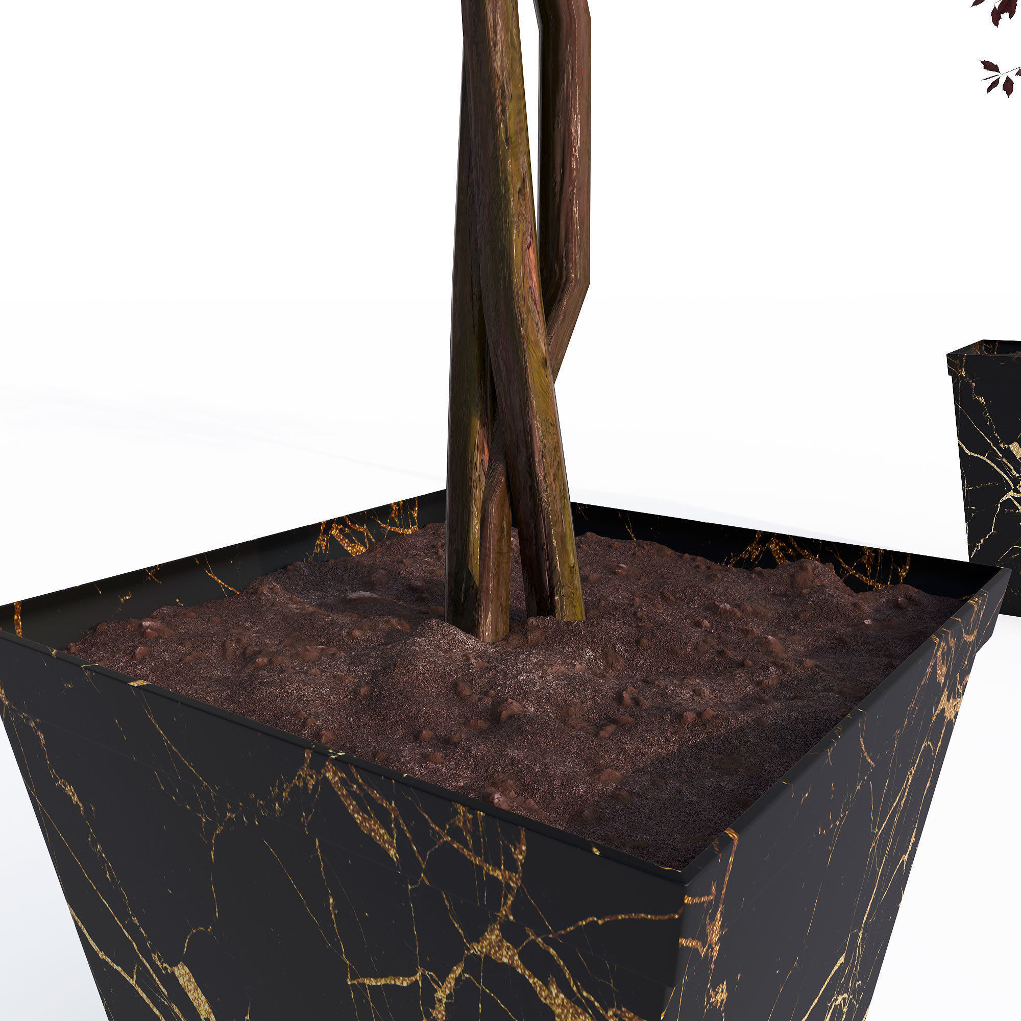 Decorative sapling 3D model | CGTrader