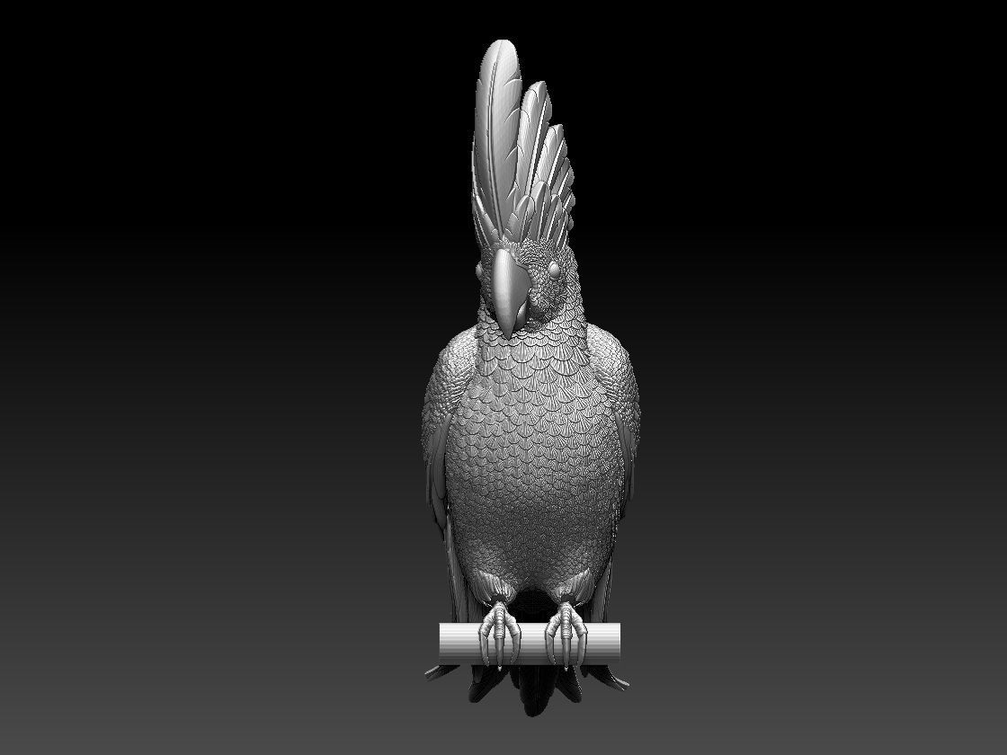 parrot cacadu 3D model 3D printable | CGTrader