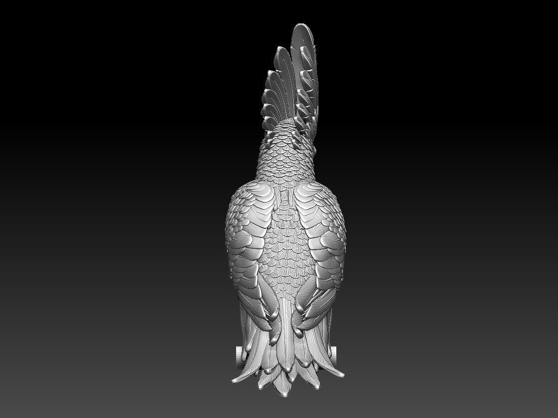 parrot cacadu 3D model 3D printable | CGTrader