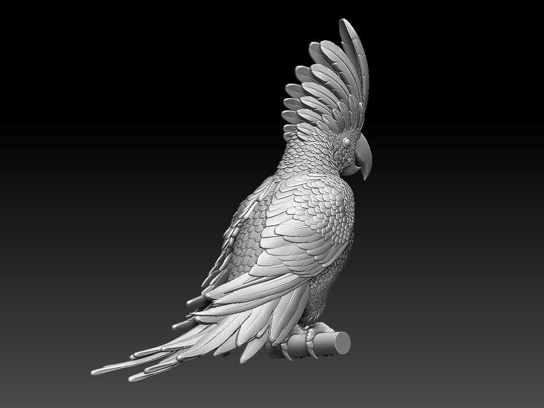 parrot cacadu 3D model 3D printable | CGTrader