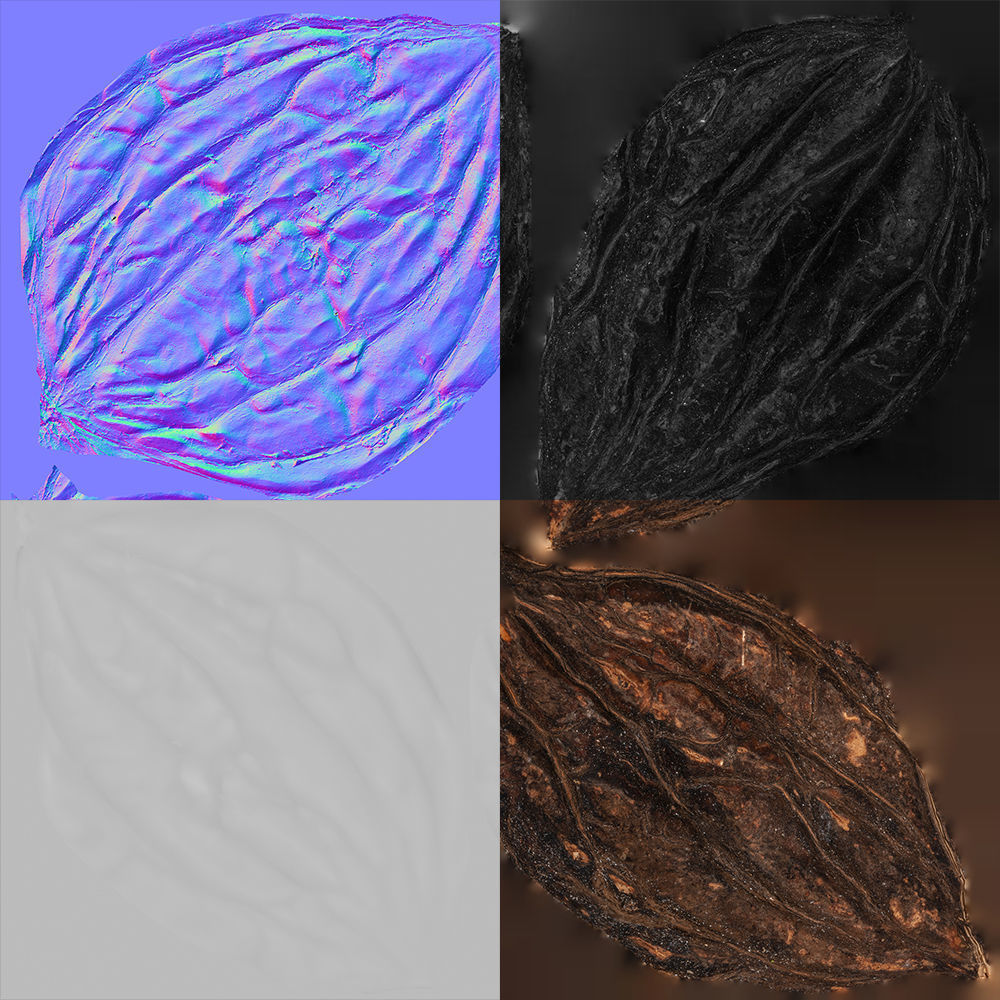 Walnut 3D model | CGTrader