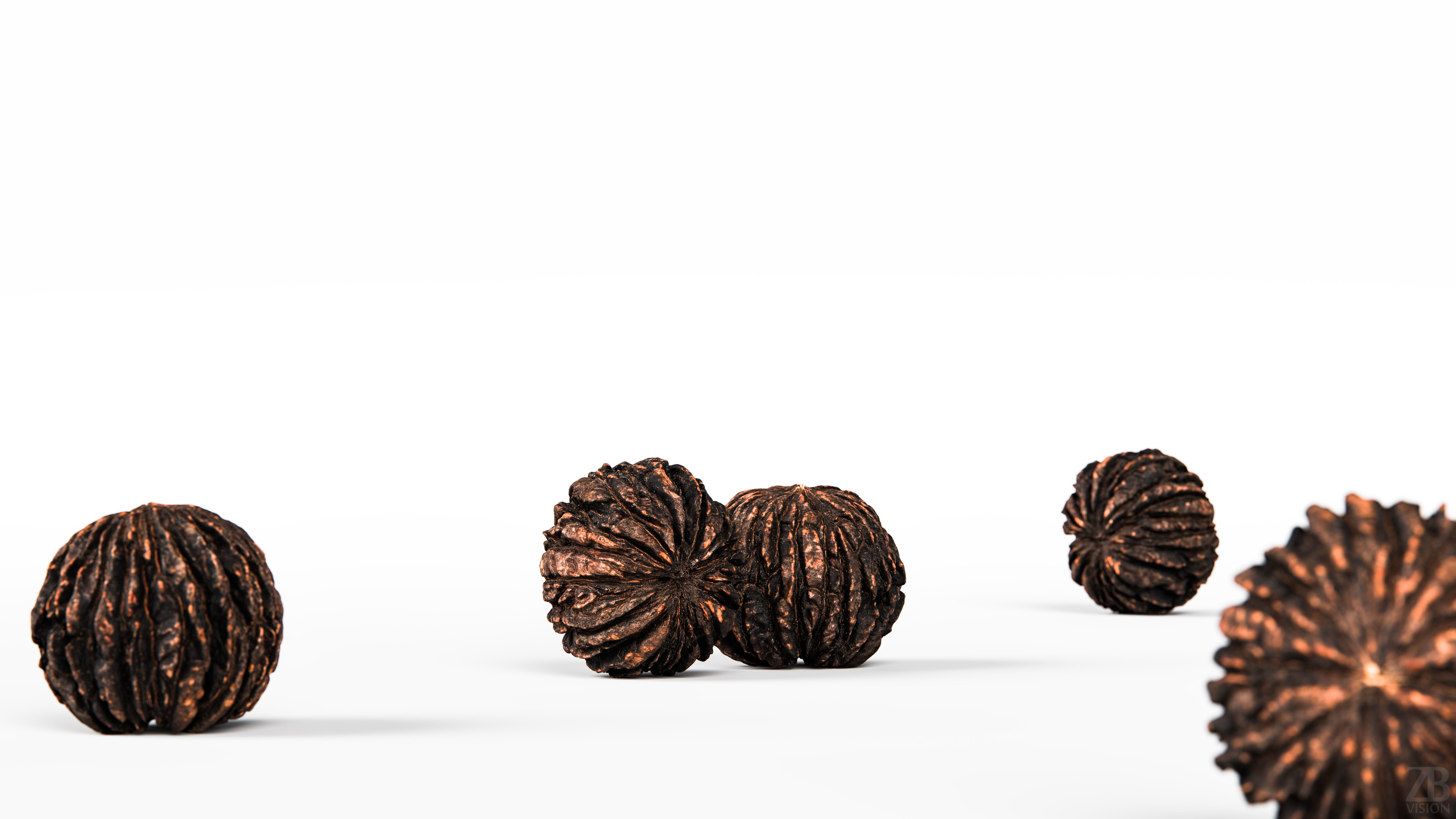 Walnut 3D model | CGTrader