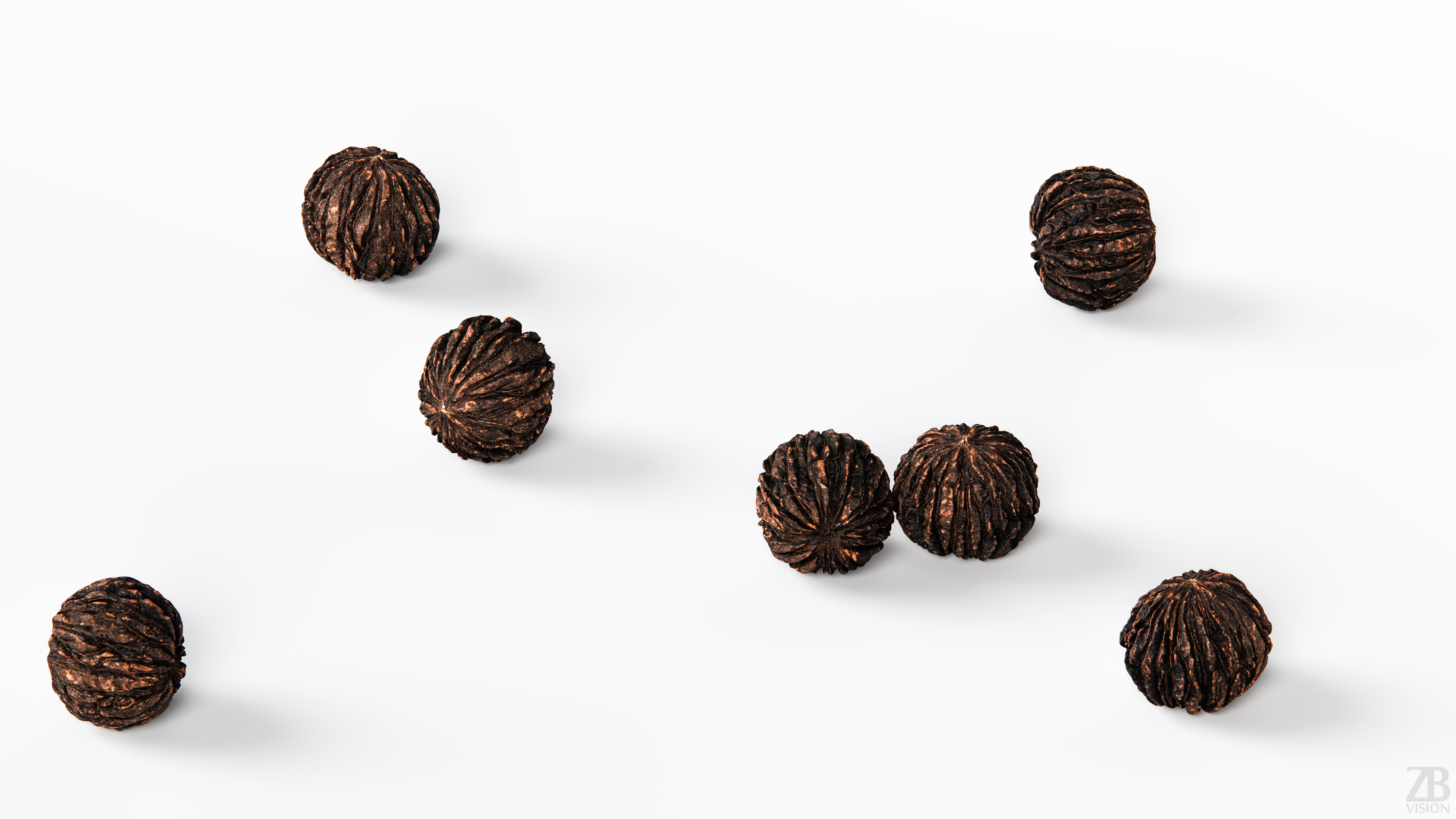 Walnut 3D model | CGTrader