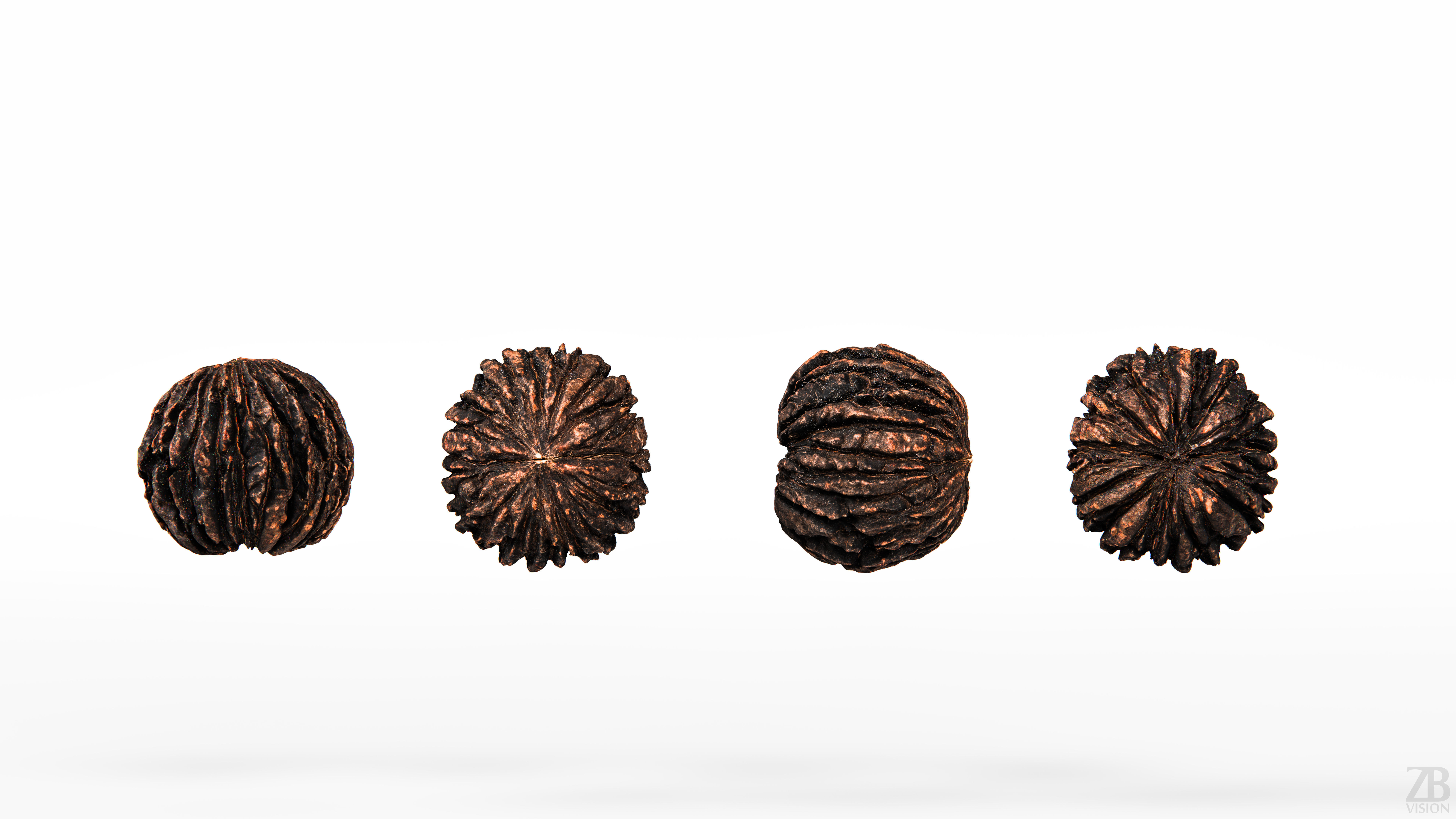 Walnut 3D model | CGTrader