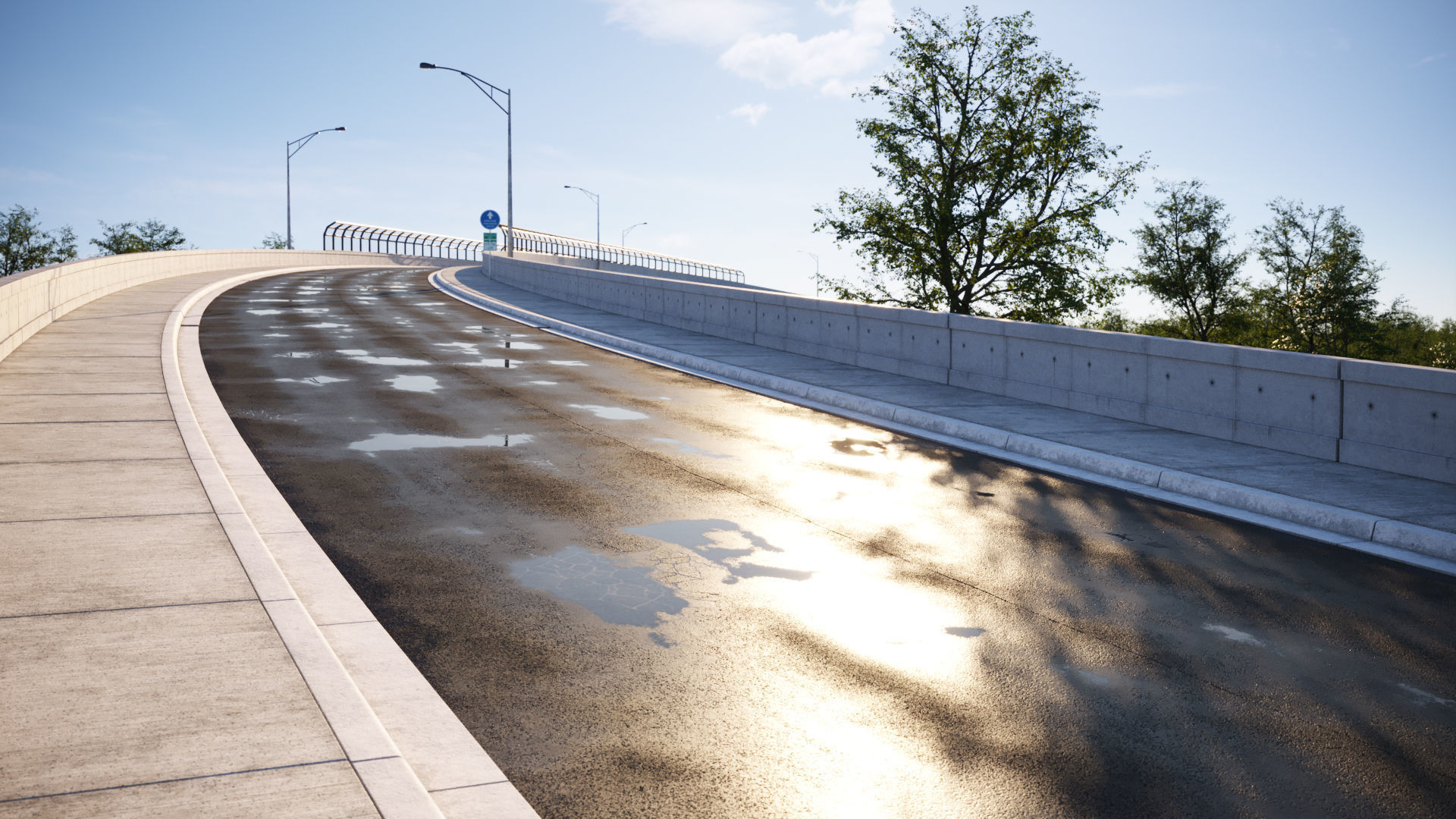 Wet damaged road texture 3D model | CGTrader