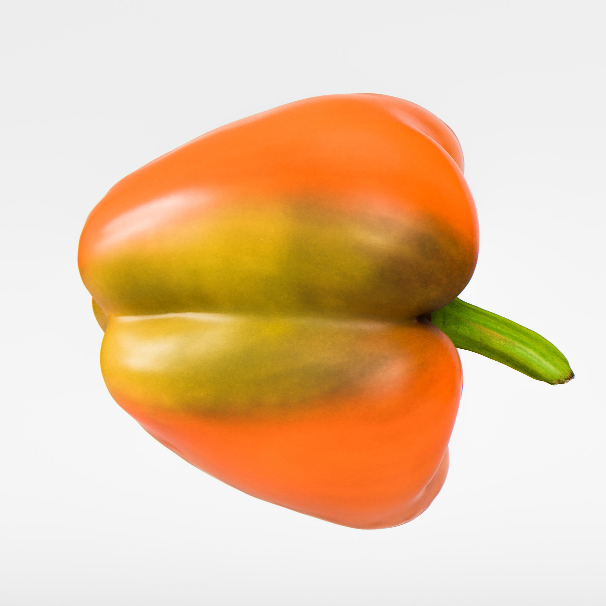 Paprika 3D model | CGTrader
