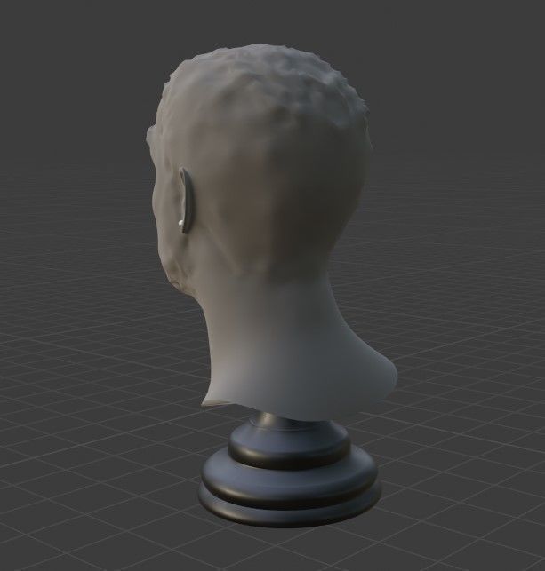 Mac Miller Rapper Musician Bust 3D model 3D printable | CGTrader