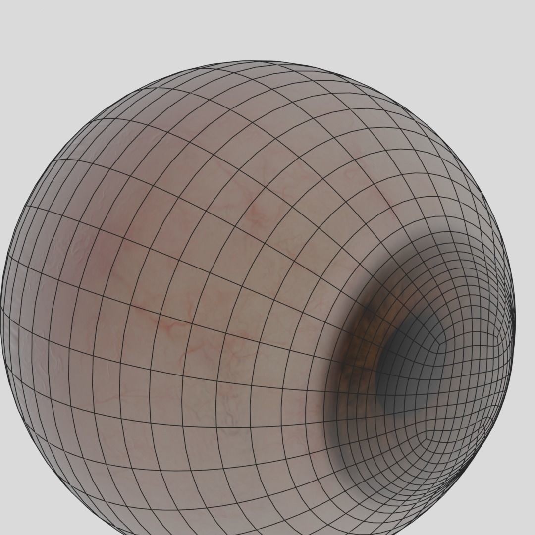 Human eye 3D model | CGTrader