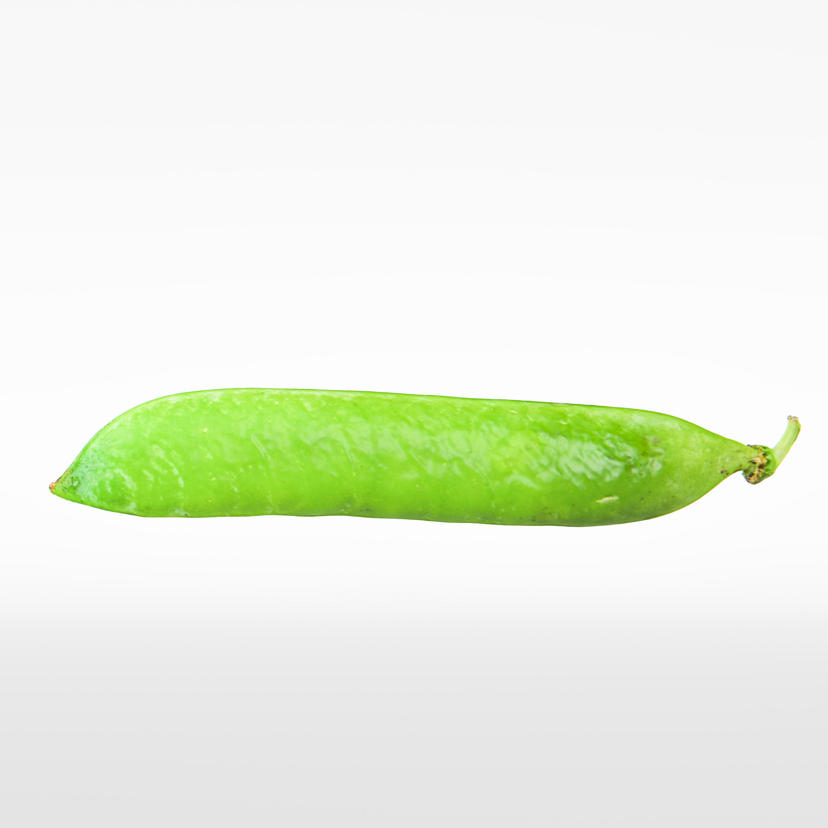 Pea pod 3D model | CGTrader