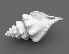 Shell 3D Models | CGTrader