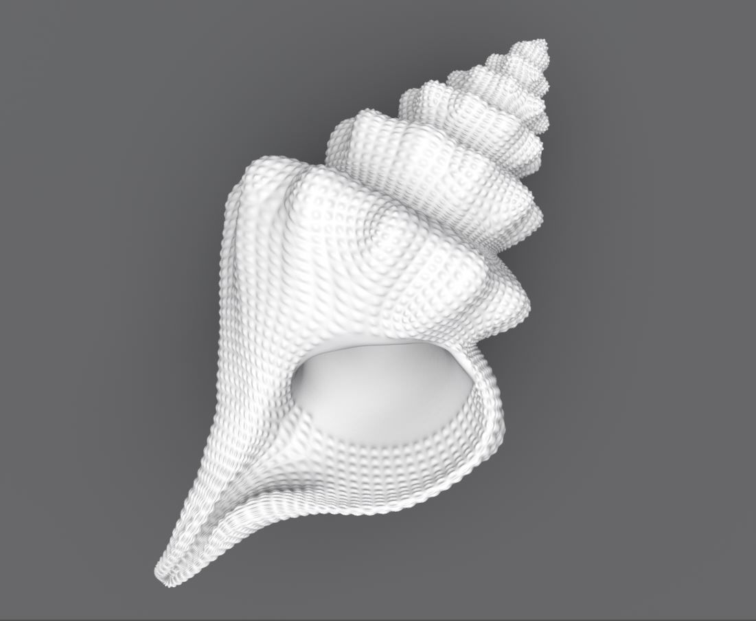 Snail Shell 3D model 3D printable | CGTrader