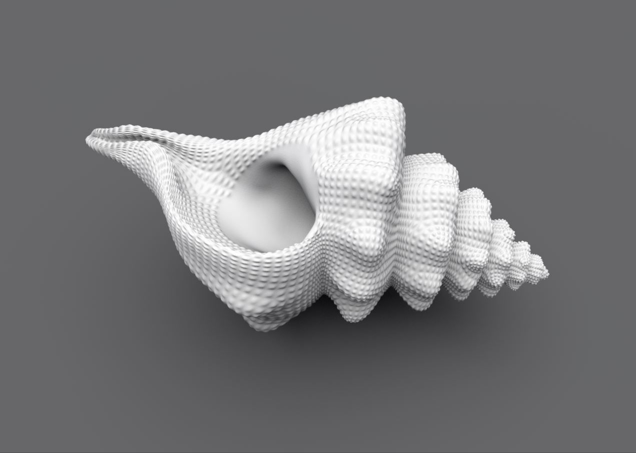 Snail Shell 3D model 3D printable | CGTrader