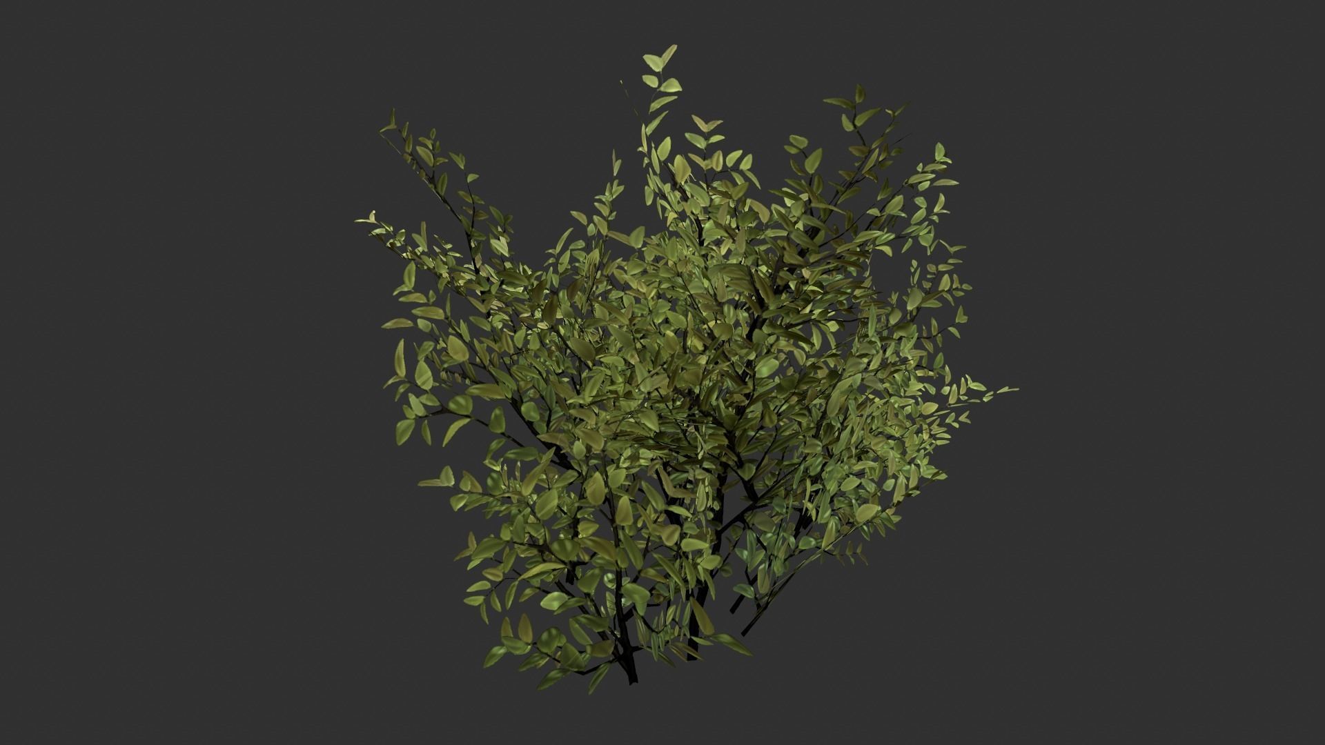 3D model Bush VR / AR / low-poly | CGTrader