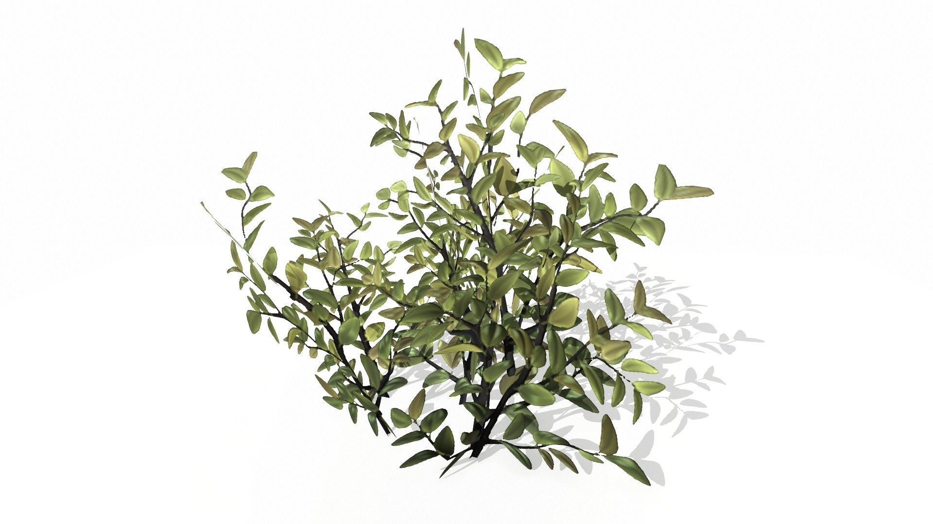 3D model Bush VR / AR / low-poly | CGTrader
