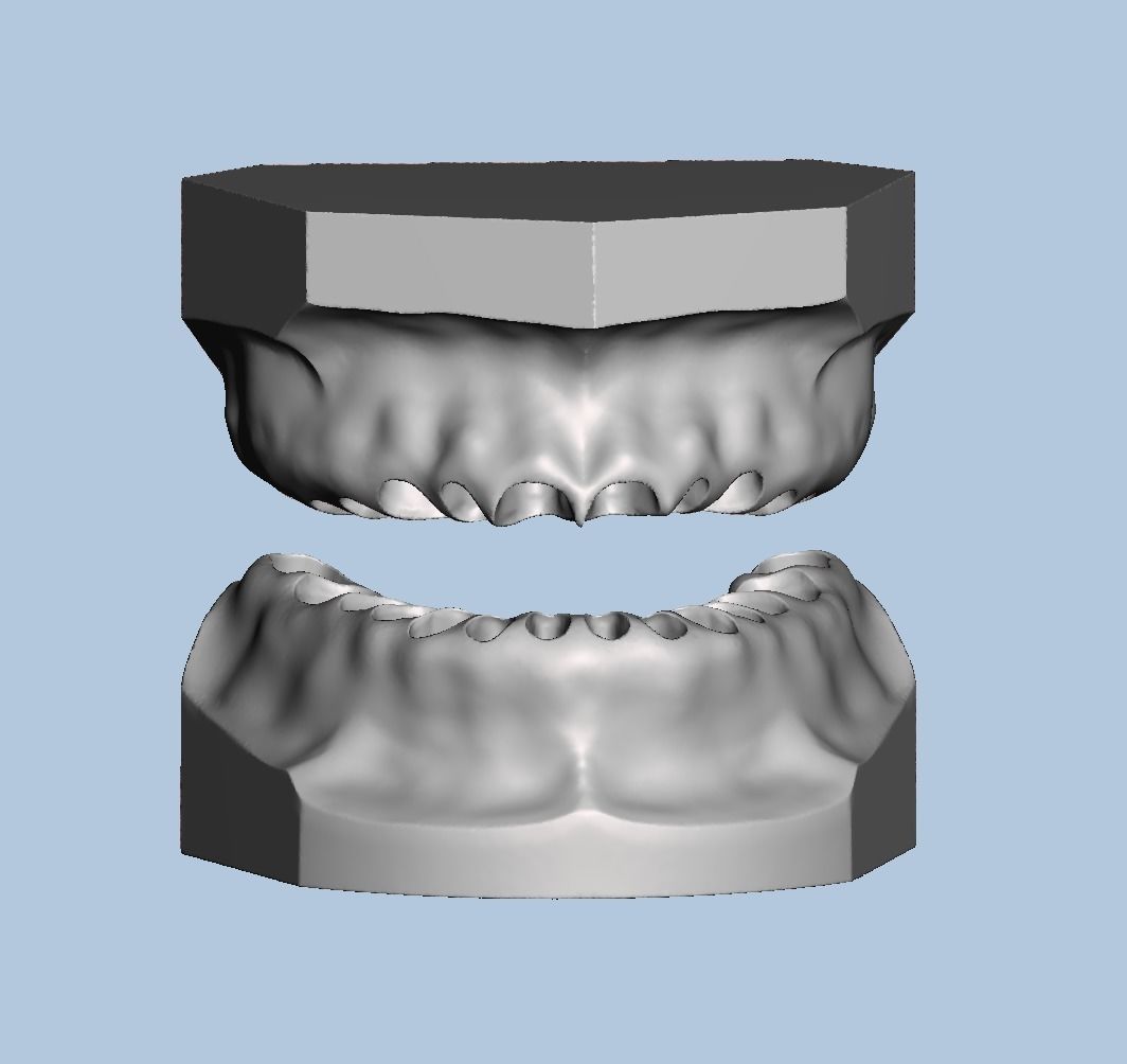 Ortho model style base for typodont 3D model 3D printable | CGTrader