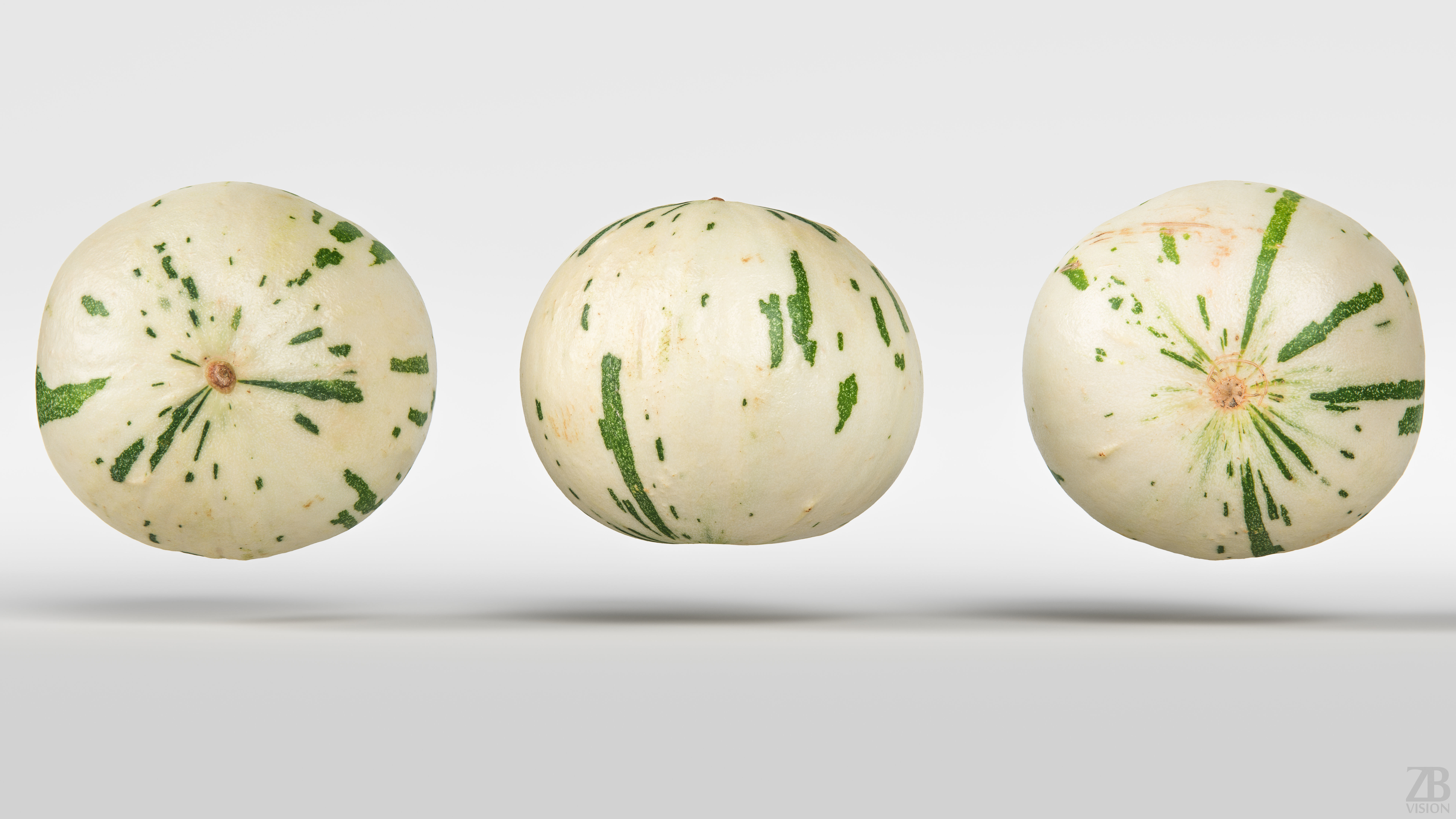 Melon 3D model | CGTrader