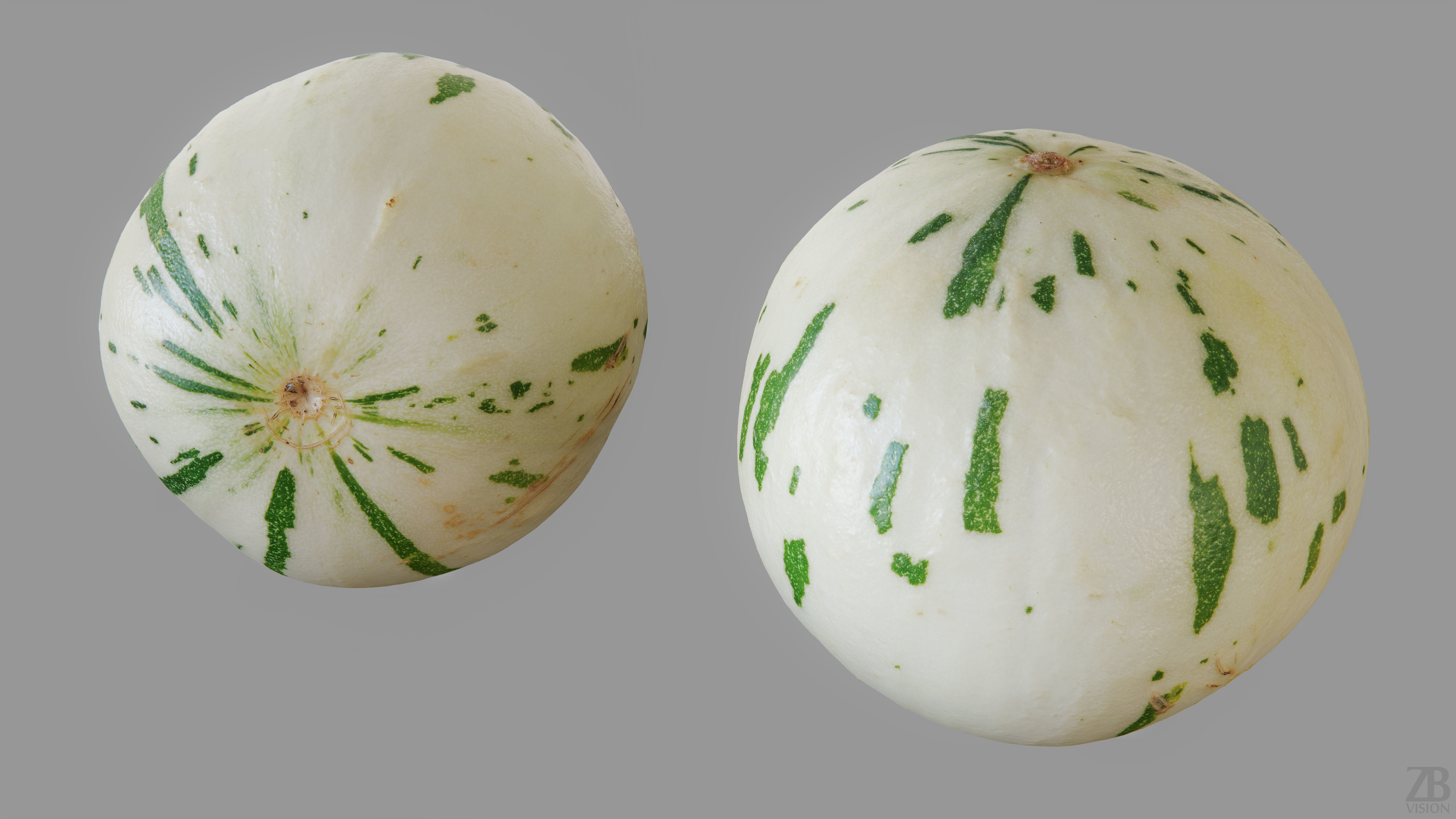 Melon 3D model | CGTrader