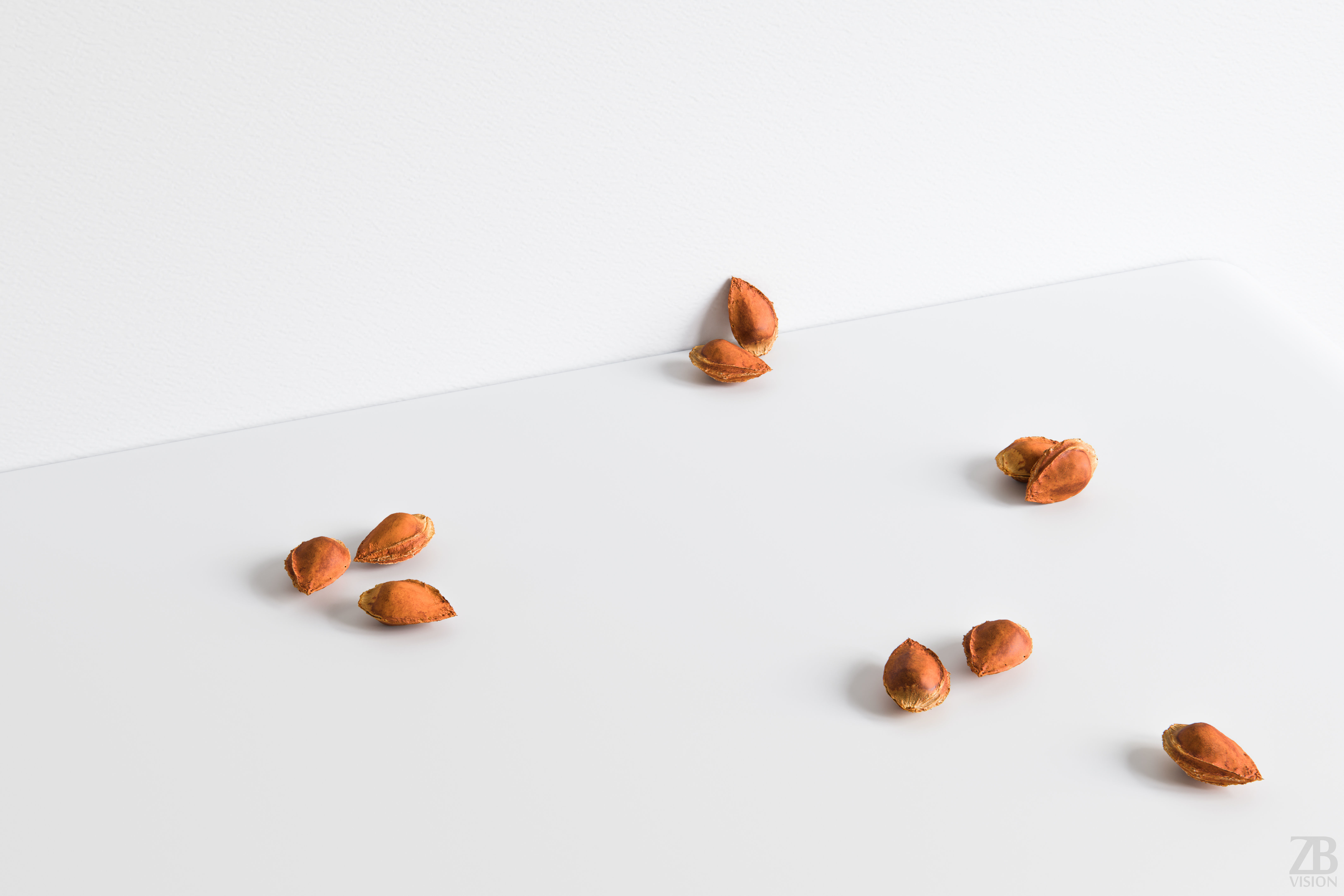 Apricot pit 3D model | CGTrader